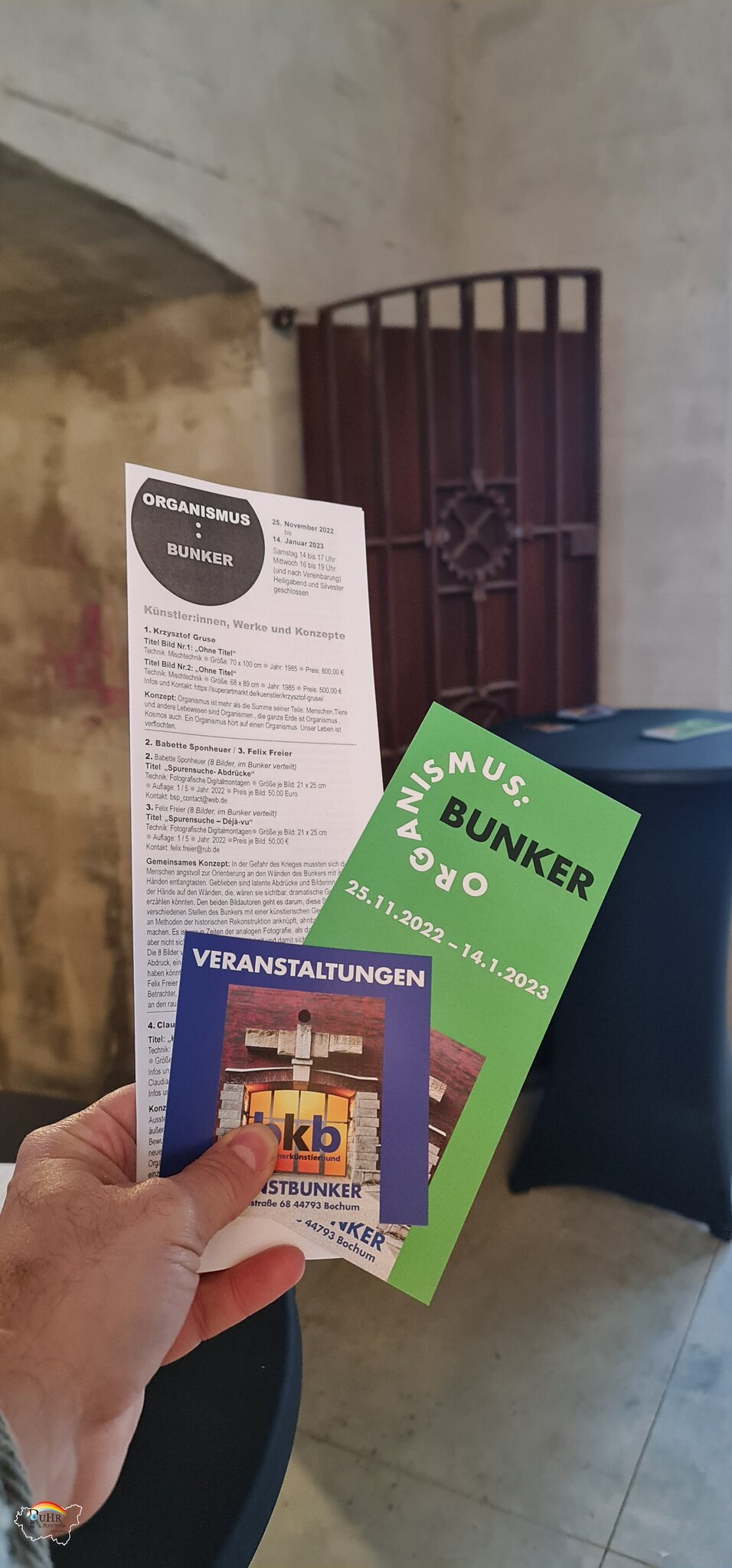 Mit Kunst Leben im Krieg erahnen: Kunstausstellung Organismus : Kunst haucht Bunker Leben ein ...