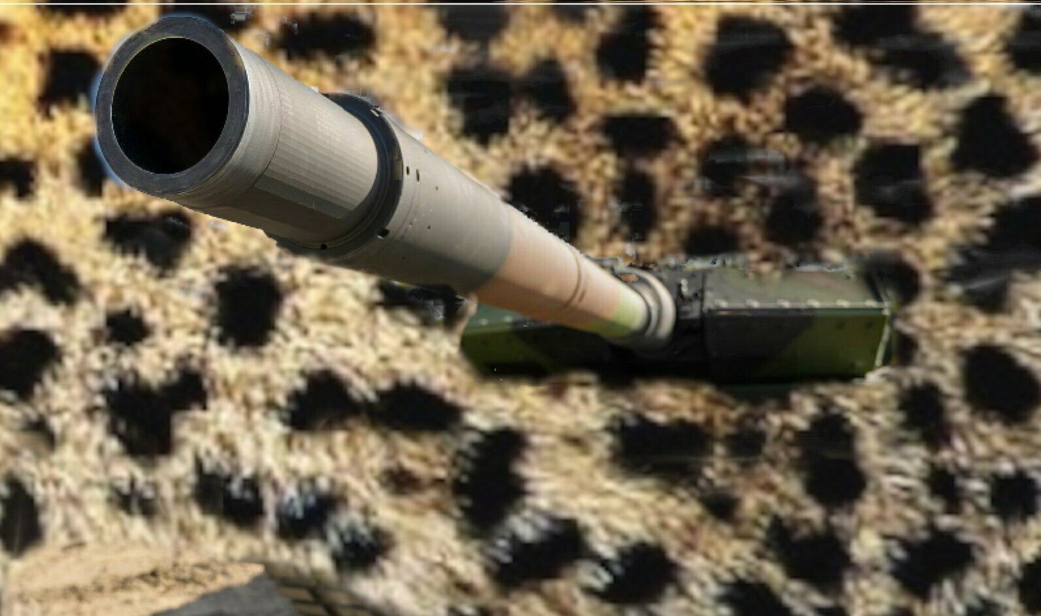 Katastrophe: Gegen die grassierende Pan(zer)demie noch keinen Impfstoff ...