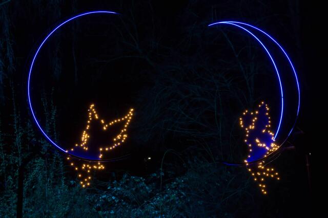 Magie des Lichts: Illuminationen aus der Gruga 2023 Teil 2 - Essen-West