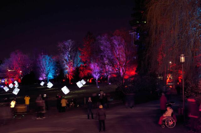 Magie des Lichts: Illuminationen aus der Gruga 2023 Teil 2 - Essen-West