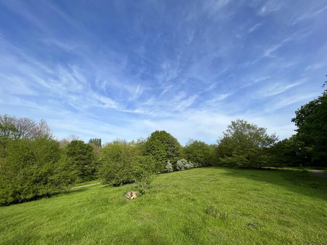 Daumen hoch oder Daumen runter. Bekommt der Arenberg Park eine ...