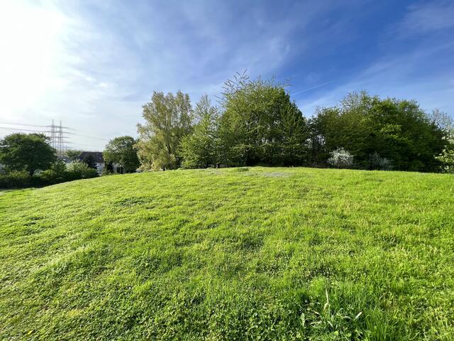 Daumen hoch oder Daumen runter. Bekommt der Arenberg Park eine ...