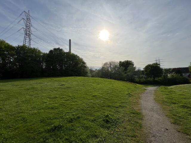Daumen hoch oder Daumen runter. Bekommt der Arenberg Park eine ...
