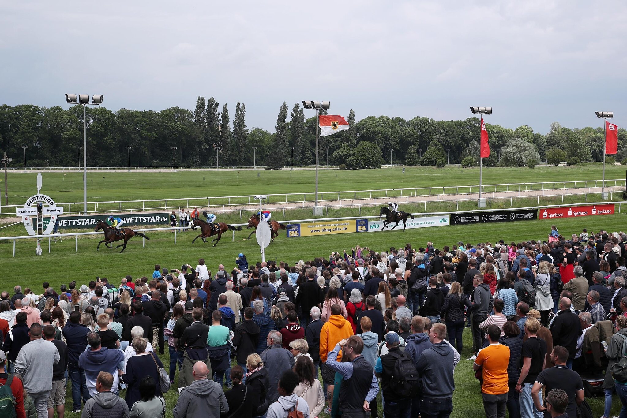 Galopprennen in Wambel: Auftakt der Grasbahnsaison mit dem beliebten Sparkassen-Renntag am ...