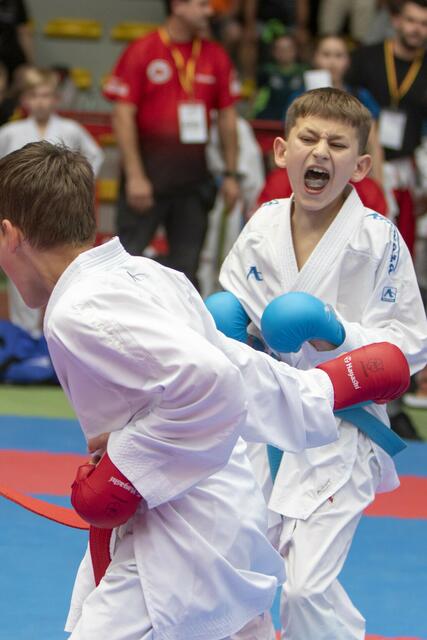 Budokan Bochum: Zwei Vizetitel bei der Deutschen Meisterschaft der ...