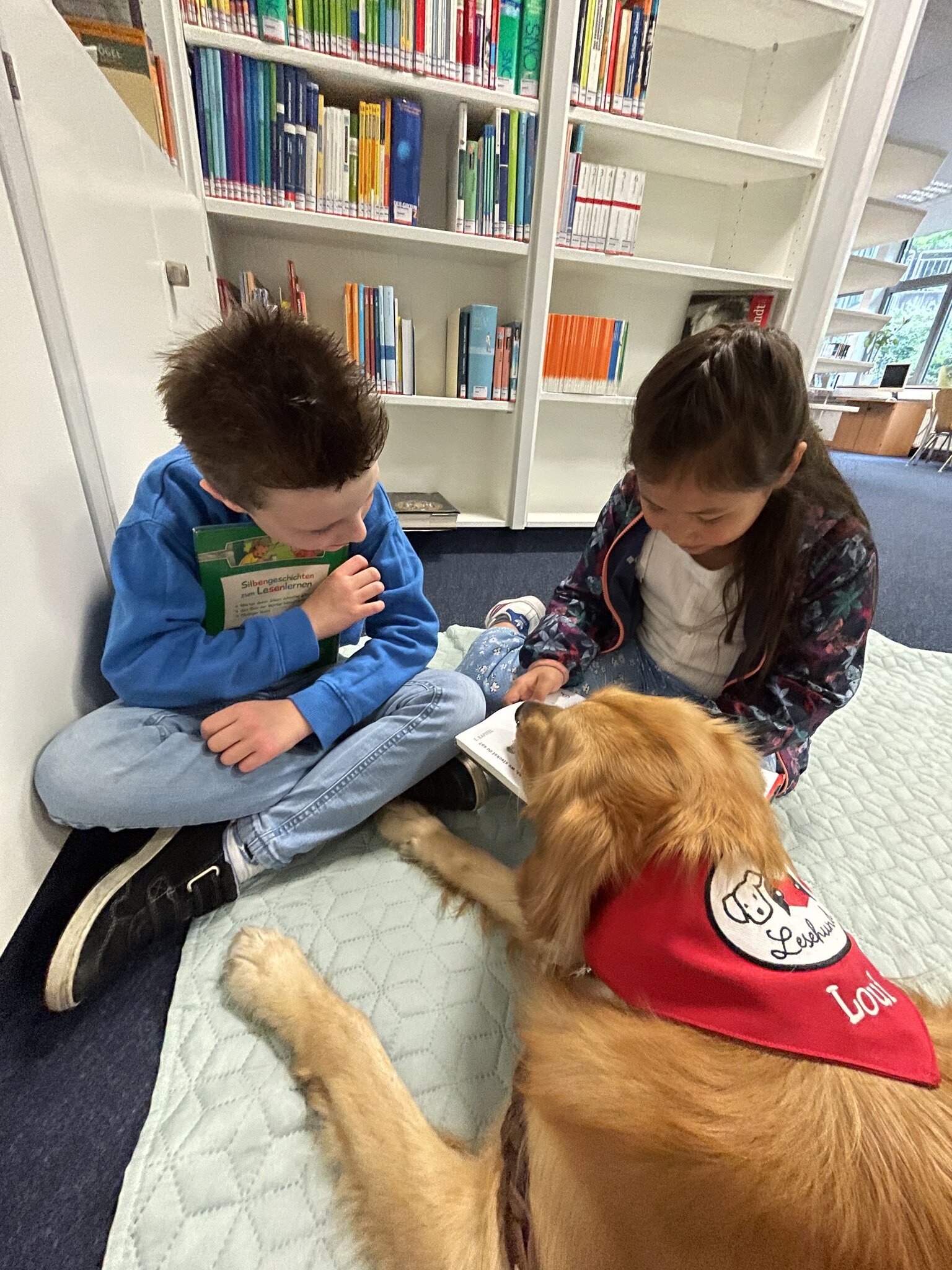 Lesehunde: Sommerleseclub mal anders - Mülheim an der Ruhr