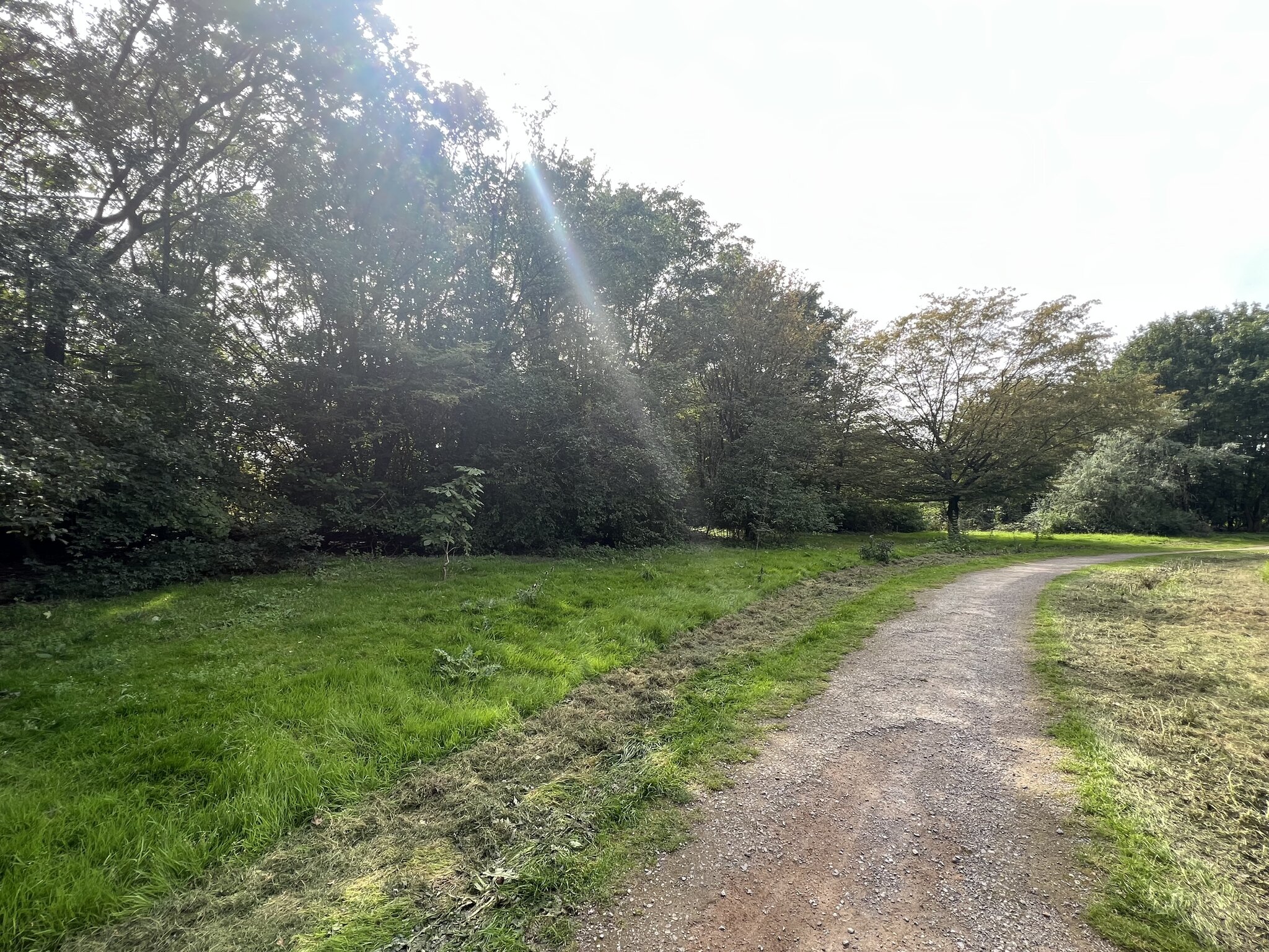 Hundewiese im Arenberg Park? - Essen-Nord