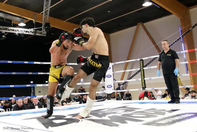 Im Eventzentrum.NRW: Grand Boxing Special Edition MARL KÄMPFT - Marl