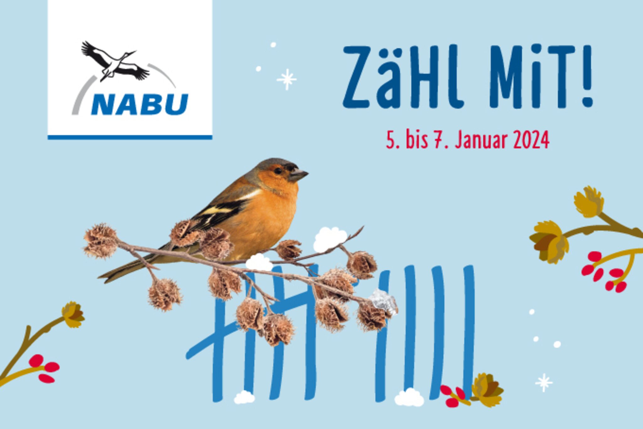 Mitmachen hilft den heimischen Vögeln: „Stunde der Wintervögel“ vom 5 ...