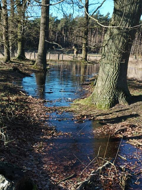 Schwarzes Wasser Wesel: Ein Naturerlebnisweg mit herrlichen Aussichten ...