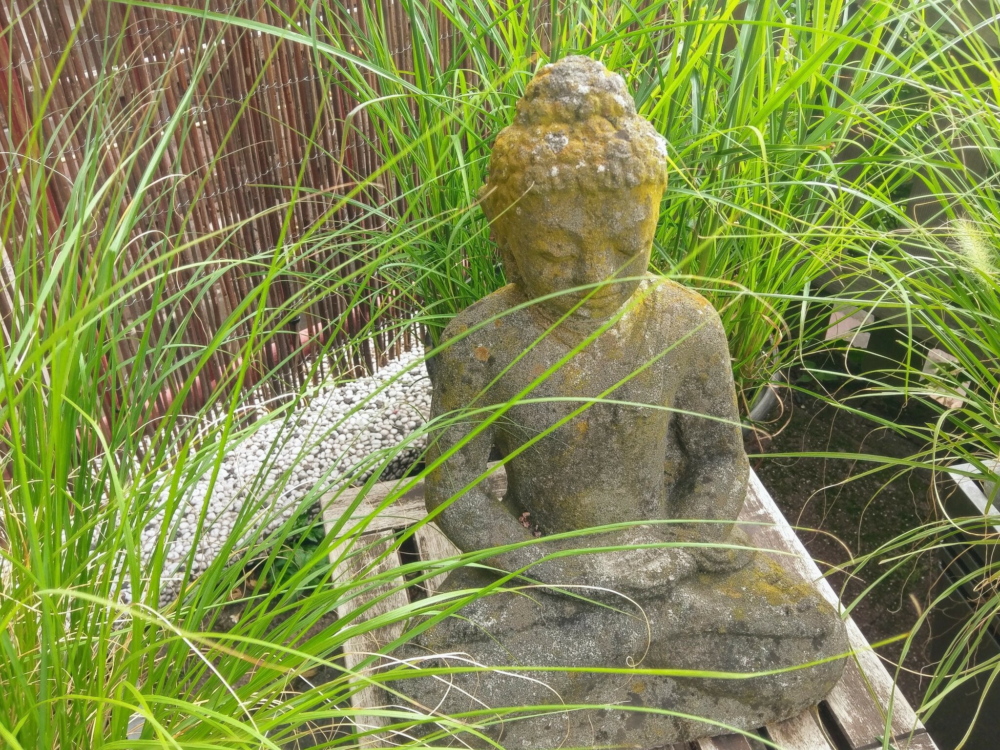 Kurs beim Verein RSV Adler 1914 e. V.: Slow Yoga - Oberhausen