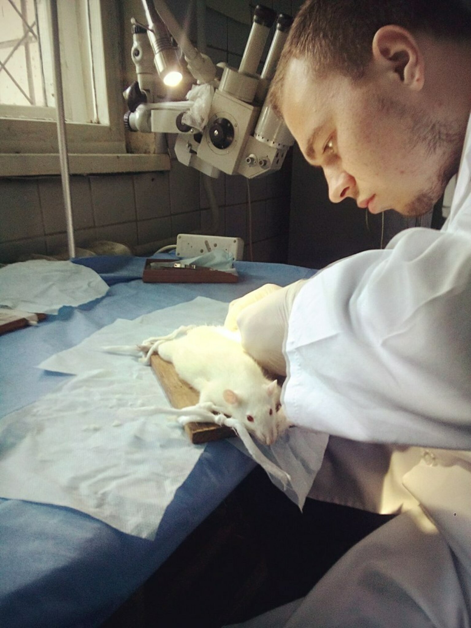 Tierversuche in Düsseldorf: Wann endlich hören die Qualen zehntausender ...