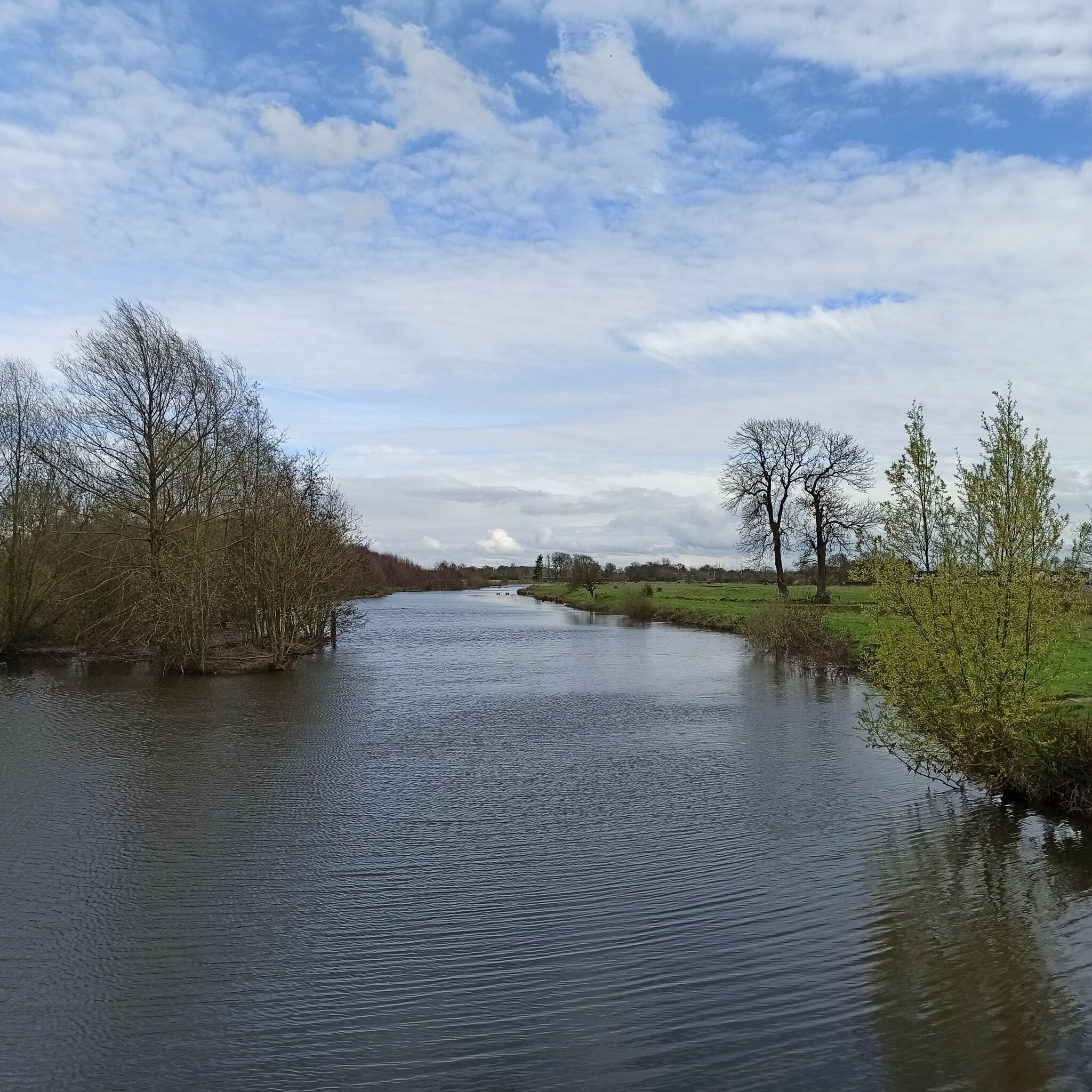 Olfen: Storchenhorste in der Steveraue - Herne