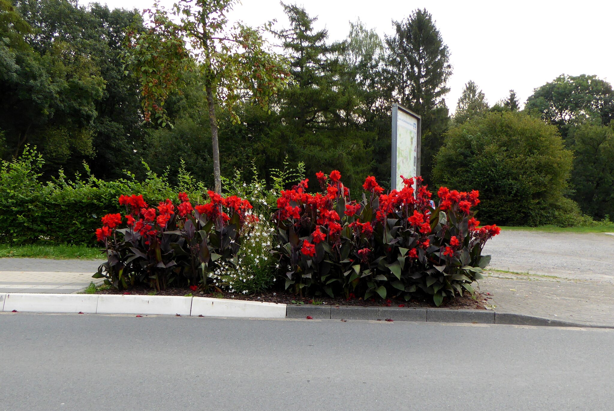 Aussicht,Höhe,Ort,Mühle,Handwerk,Kirche,Museum: Groß-Reken - Herne