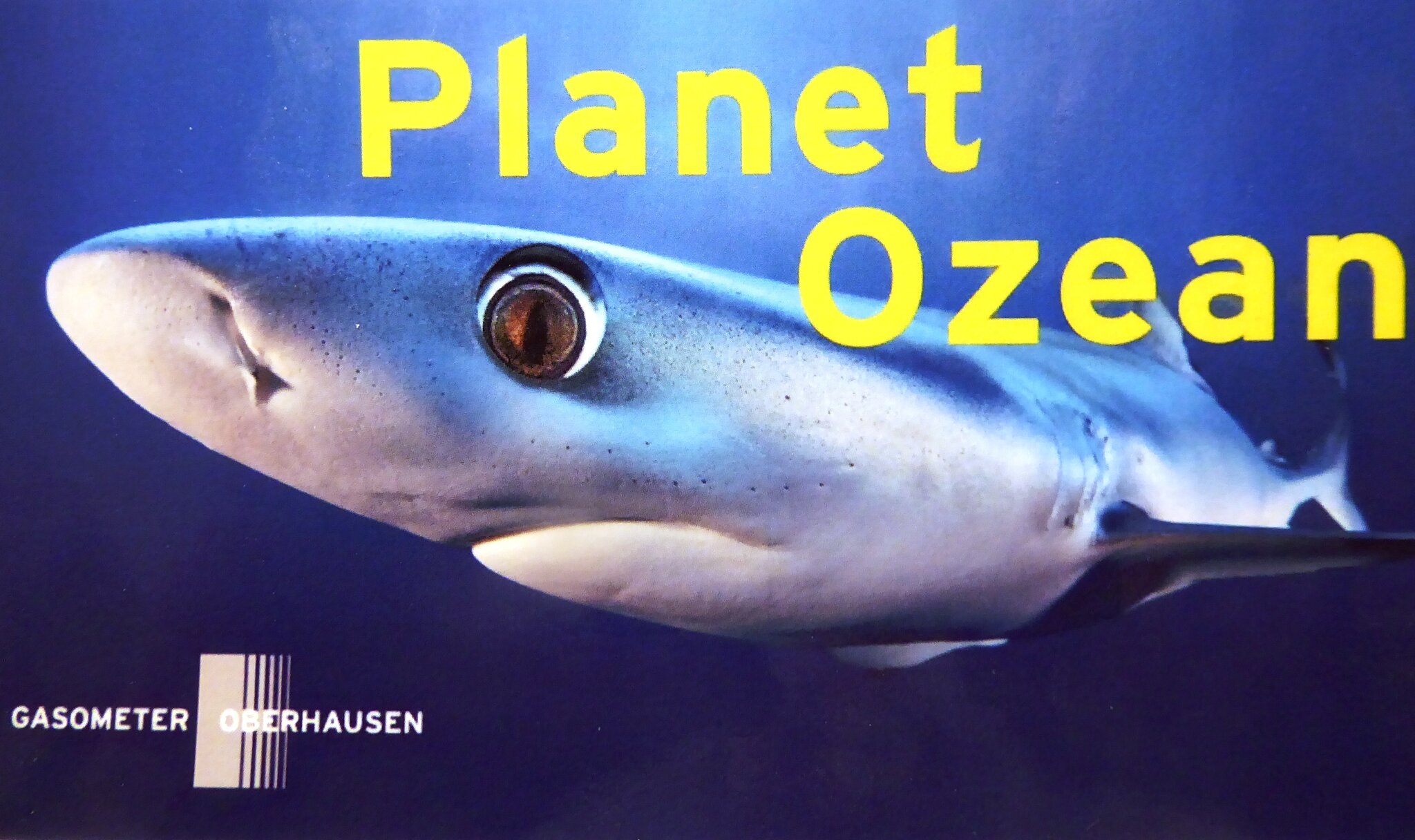 Planet Ozean: Eine Ausstellung im Gasometer von Oberhausen. - Oberhausen