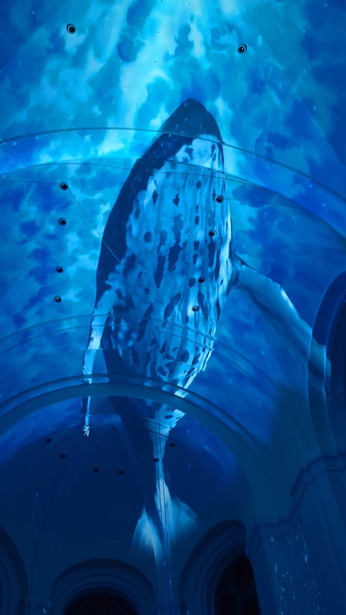 DIE SCHÖPFUNGSGESCHICHTE: EONARIUM GENESIS - Düsseldorf