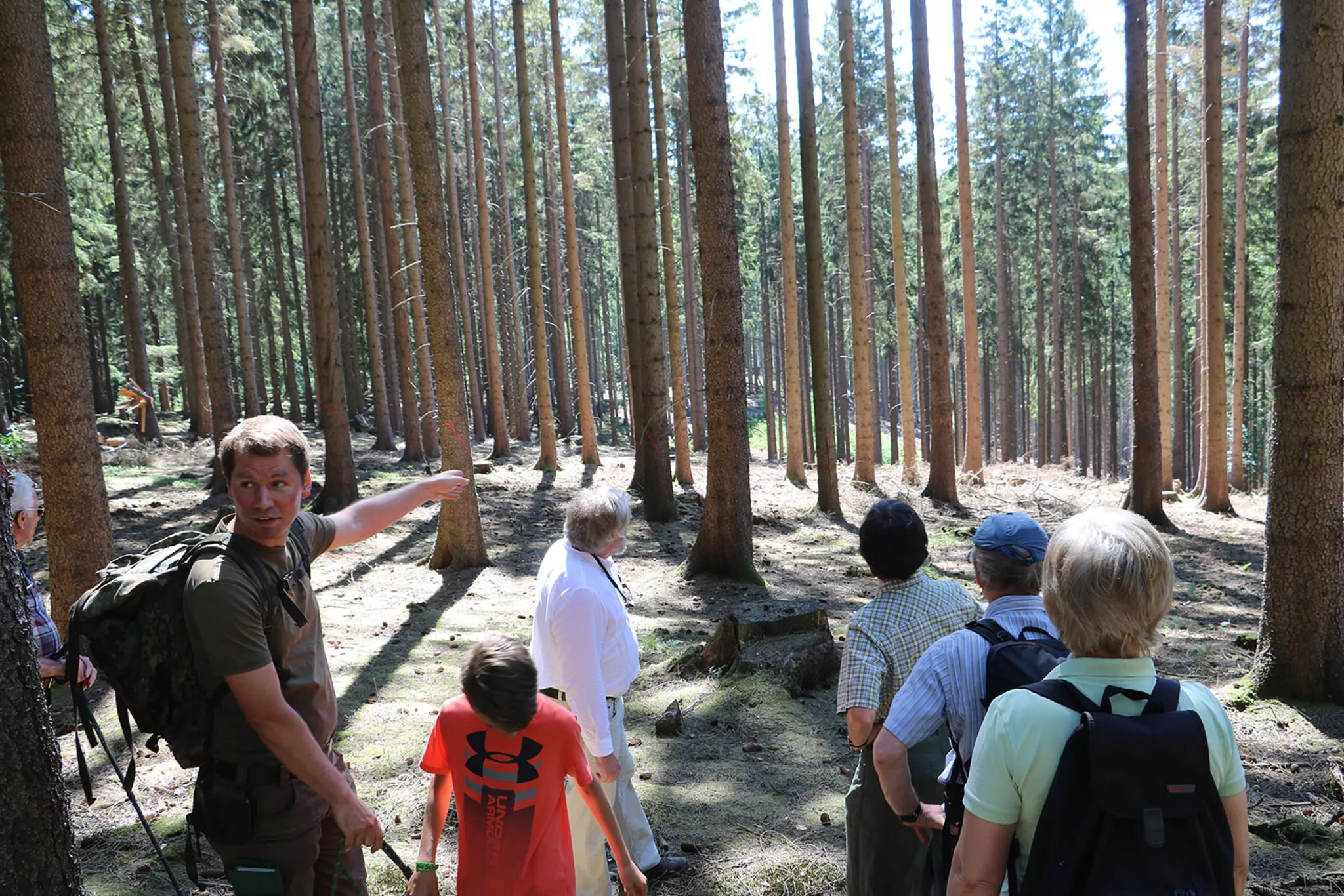 Klimawandel: EXKURSION: DER ARNSBERGER STADTWALD IM KLIMAWANDEL - Arnsberg