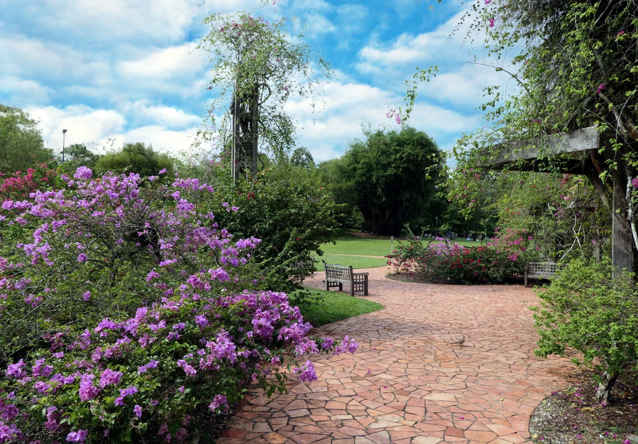 Im Blütenparadies: Faszination Flower Dome - Unna