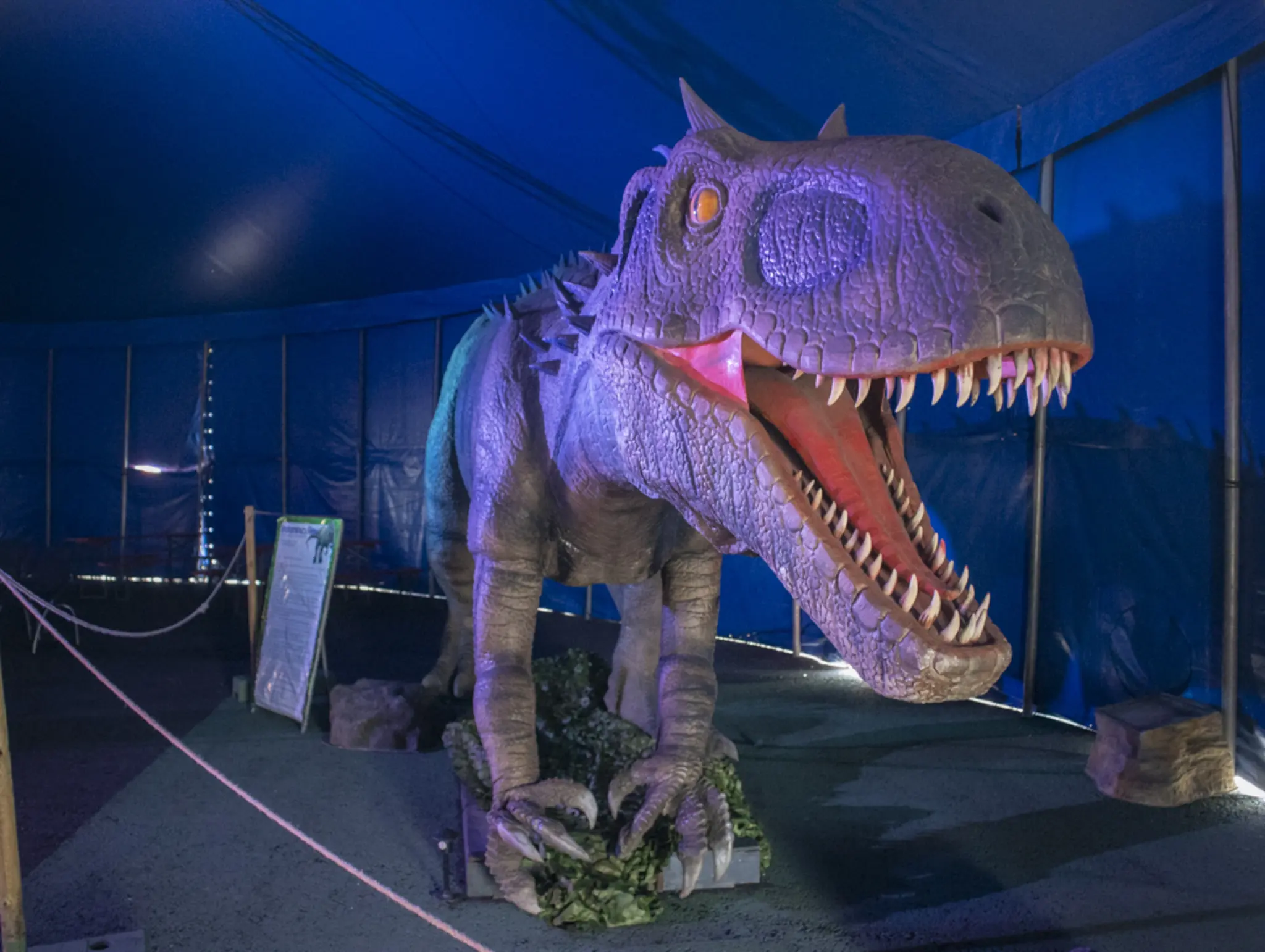 Dinoworld aus Australien verlängert bis 26.10.2025: Giganten aus der ...