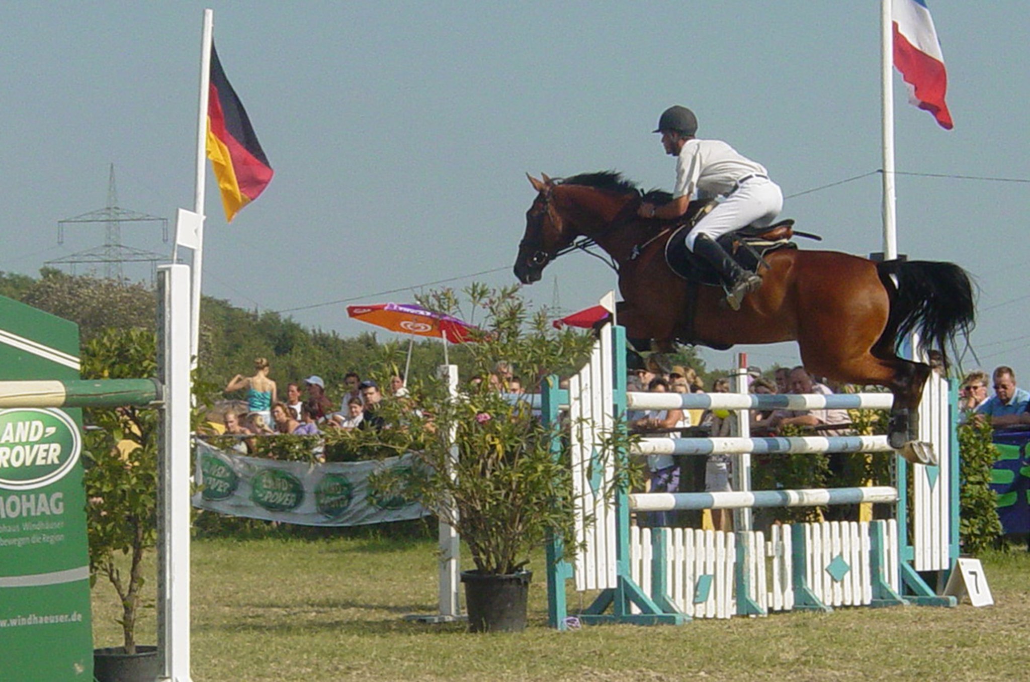 Großes Dressur- und Springturnier in Gelsenkirchen-Scholven