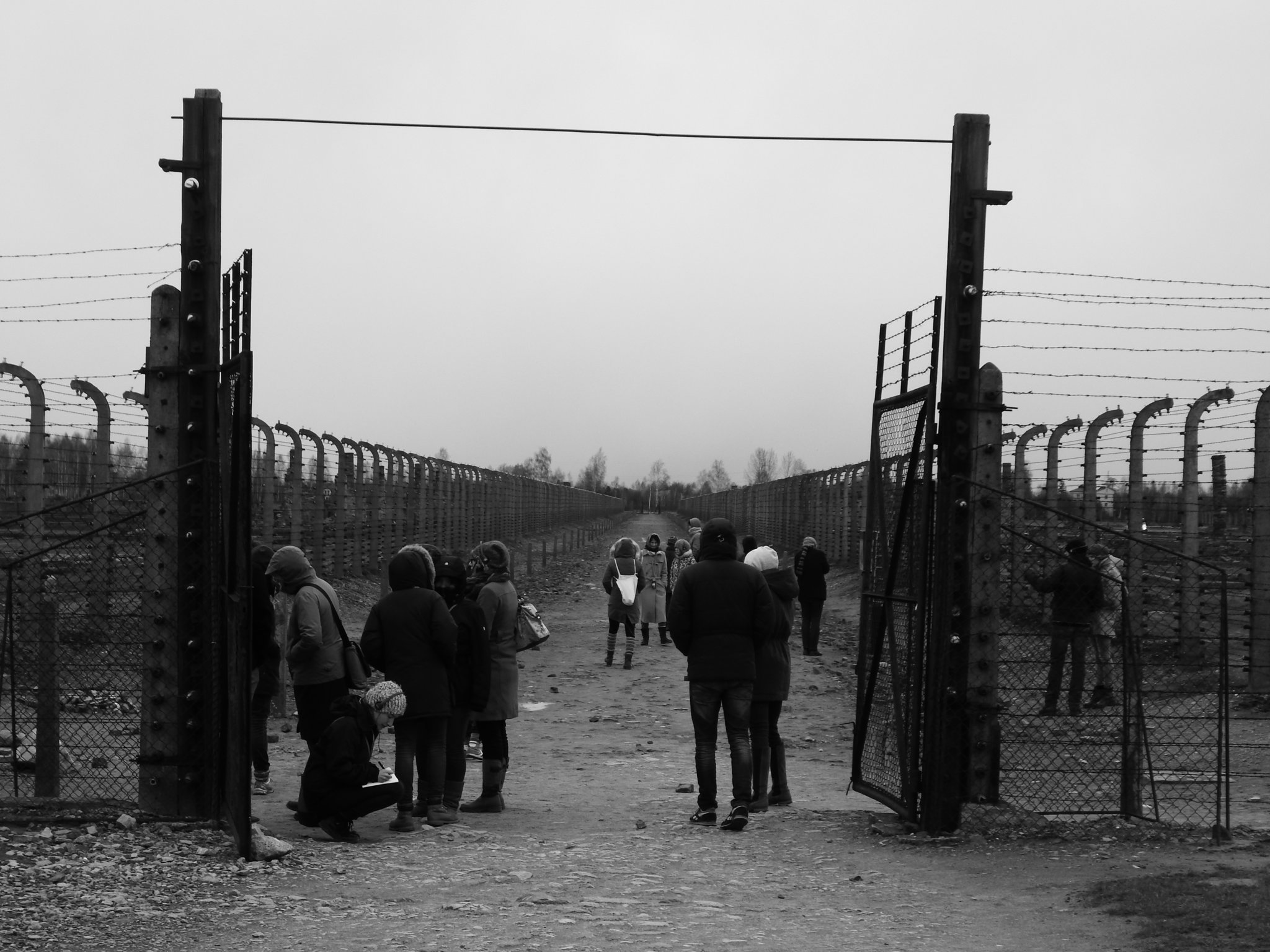 Ausstellung: Häftlinge und Ärzte in Au­schwitz