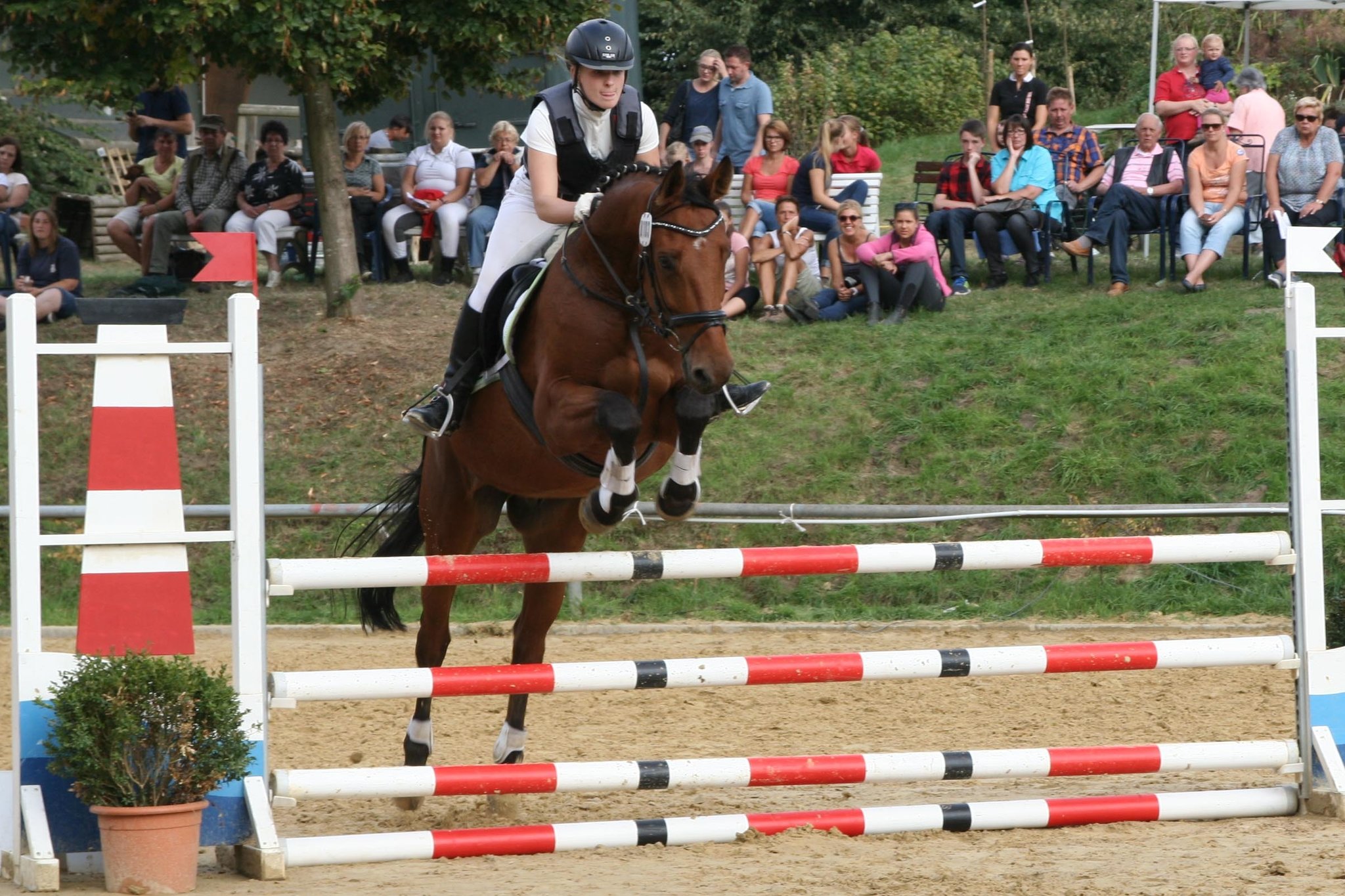Großes Reit- und Springturnier