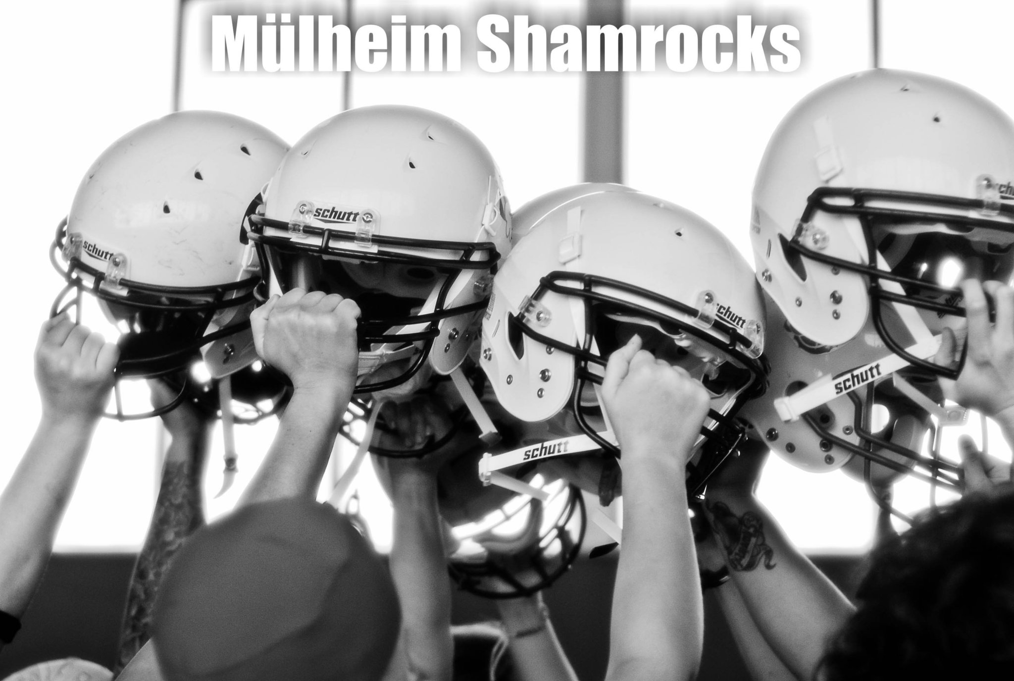 Foto der Woche KW 12: Shamrocks in Mülheim