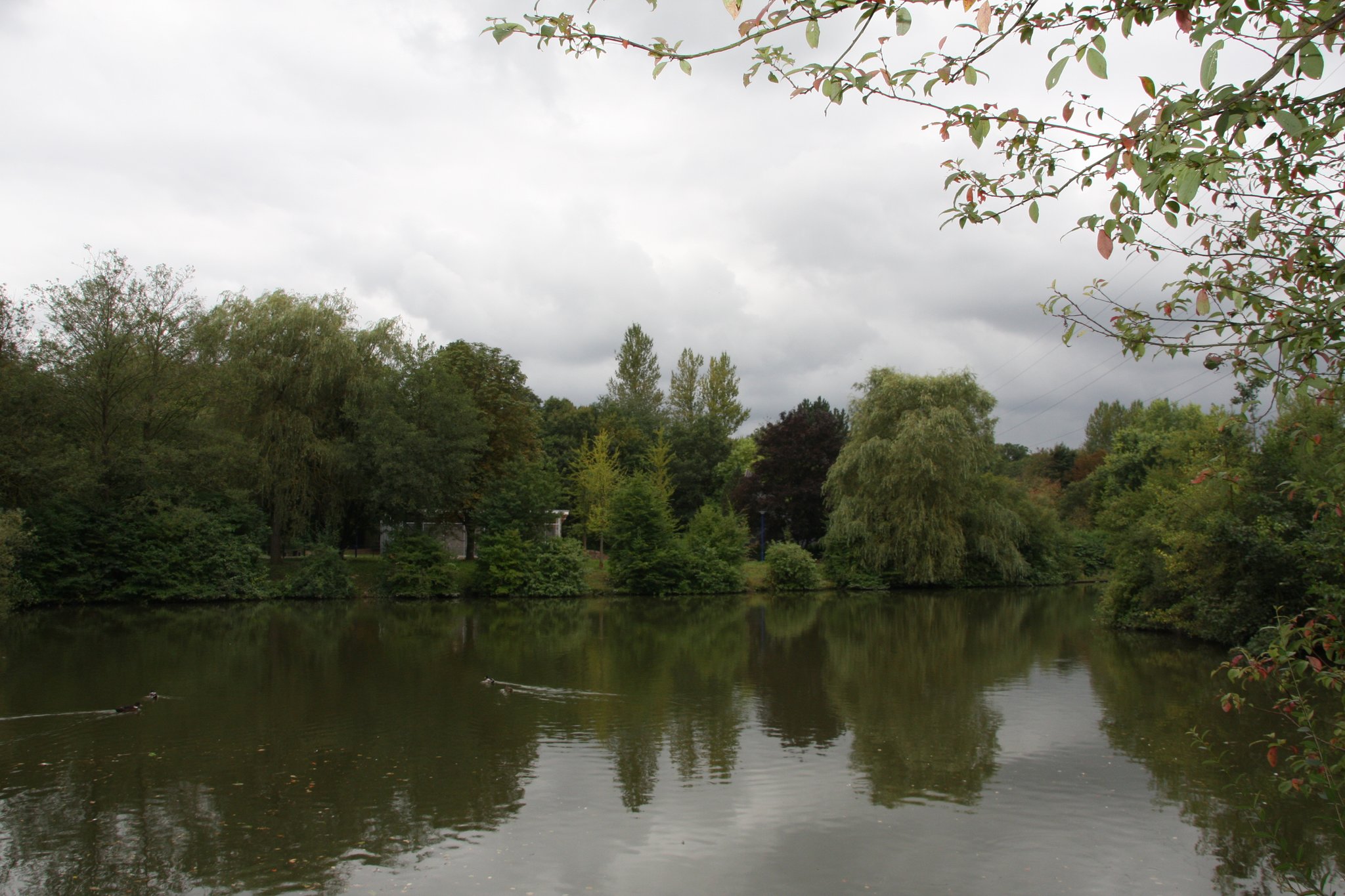 Teich im Freizeitzentrum Biebertal