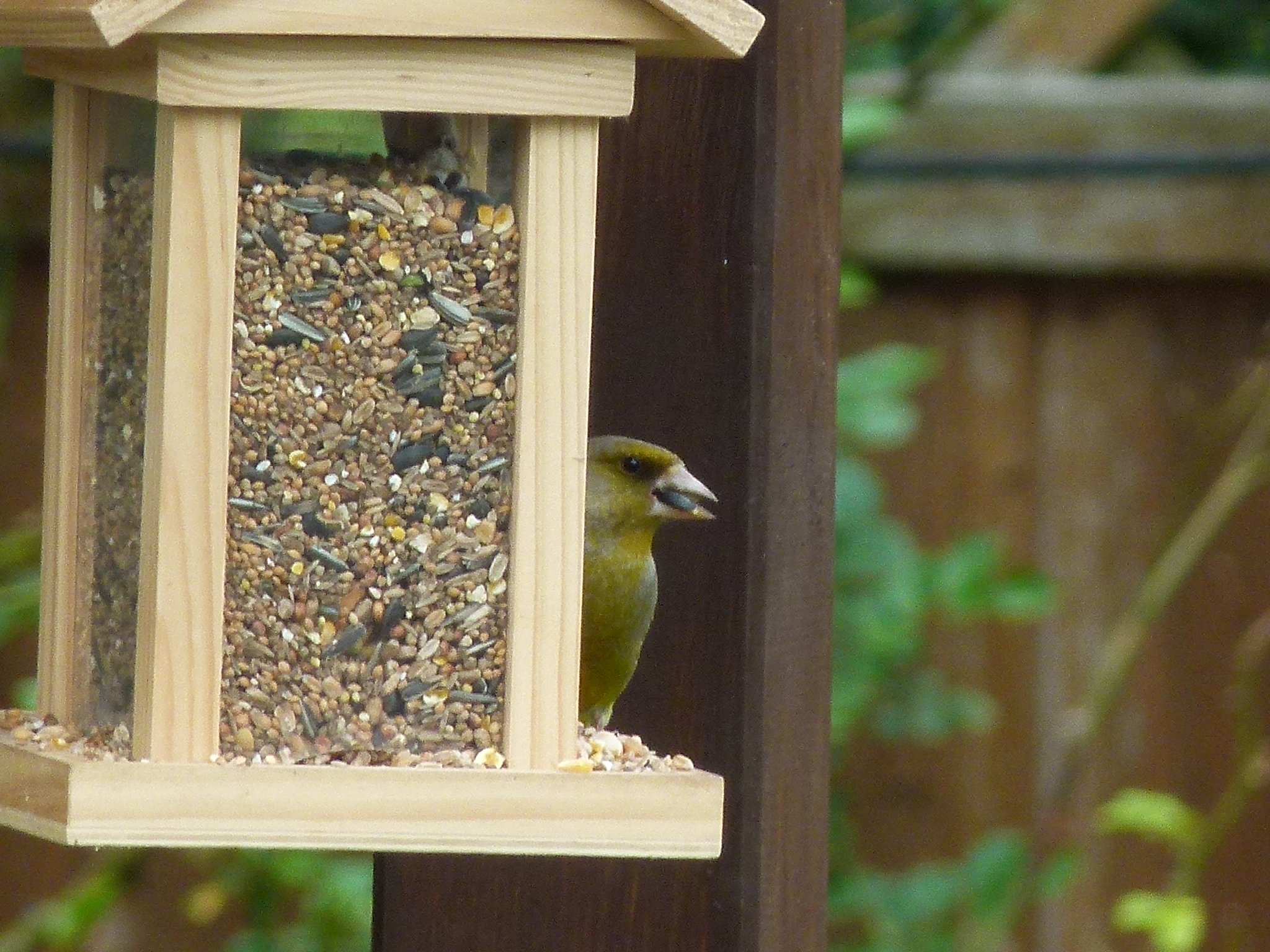,,Burger Fink" ist eröffnet!!