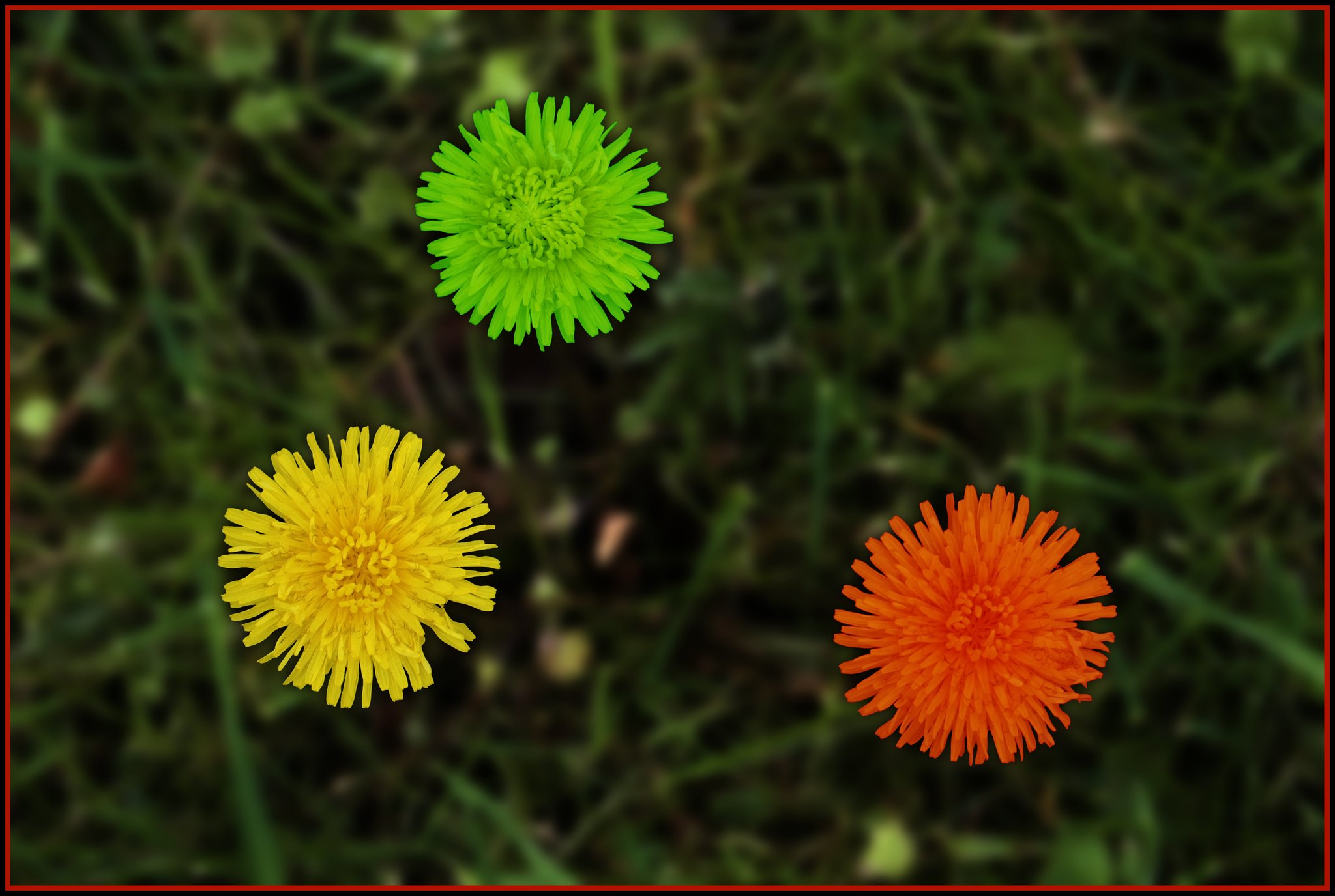 Ampelfarben