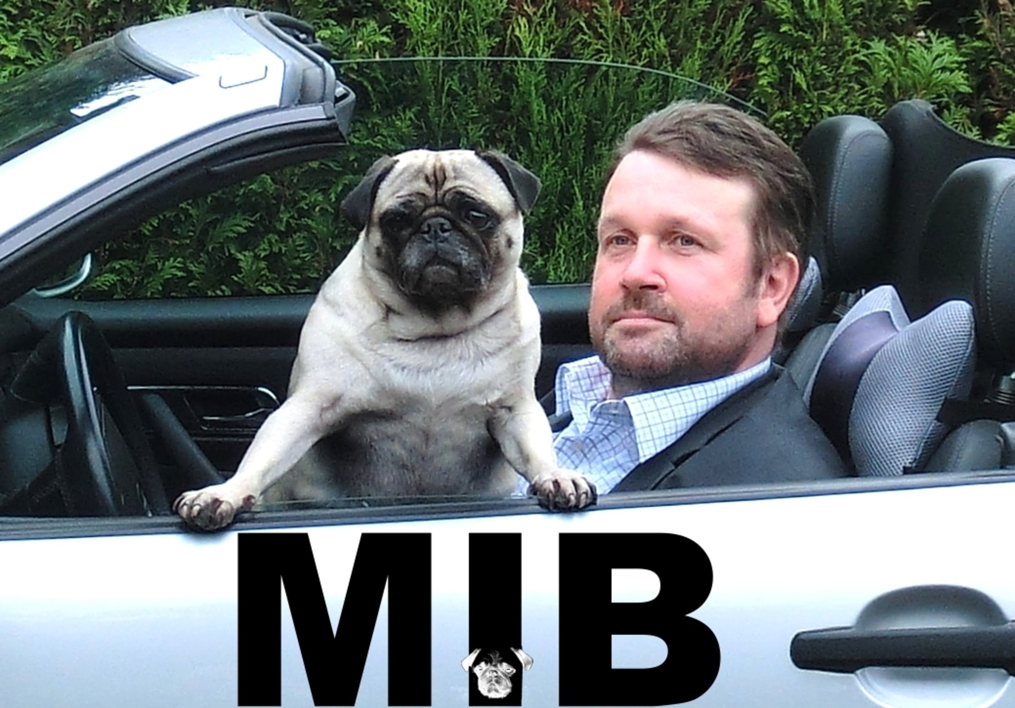 MIB - MOPS IST BOSS