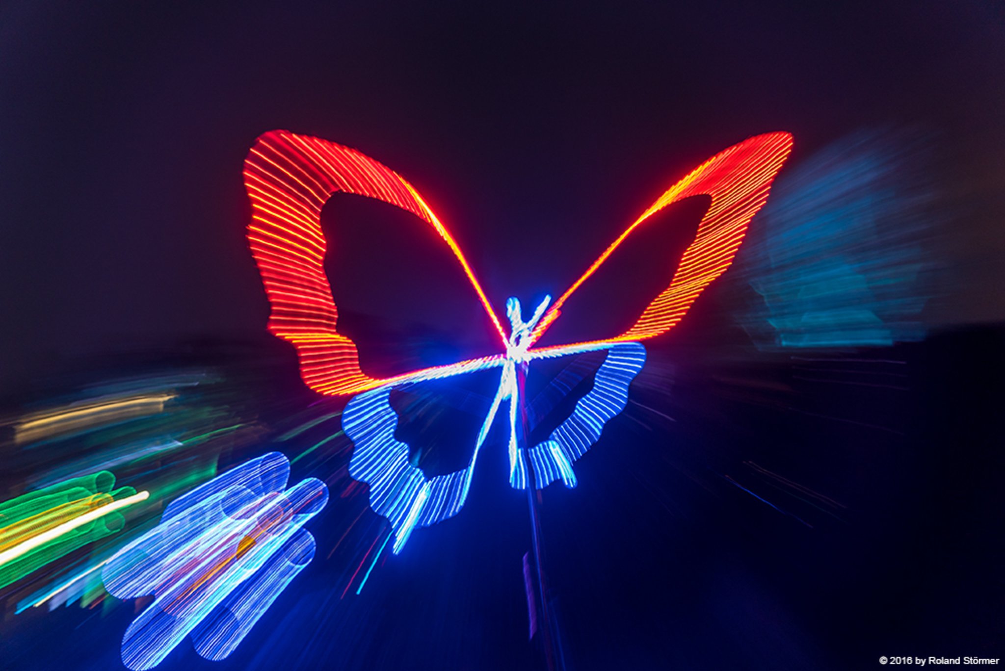 Fly Butterfly Fly...