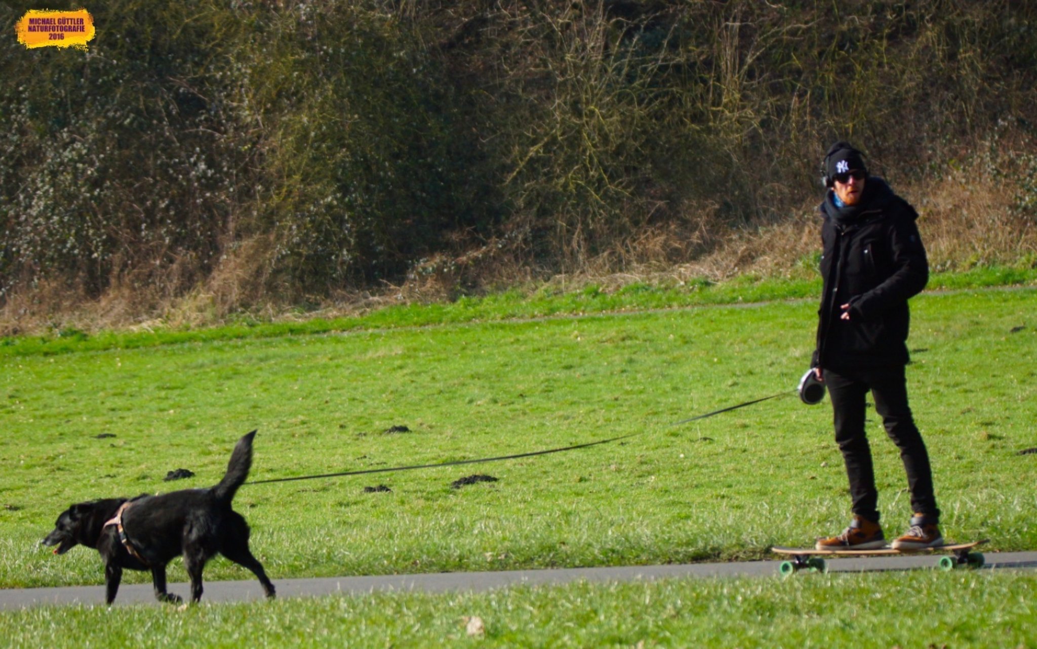 FAULER HUND....?!?