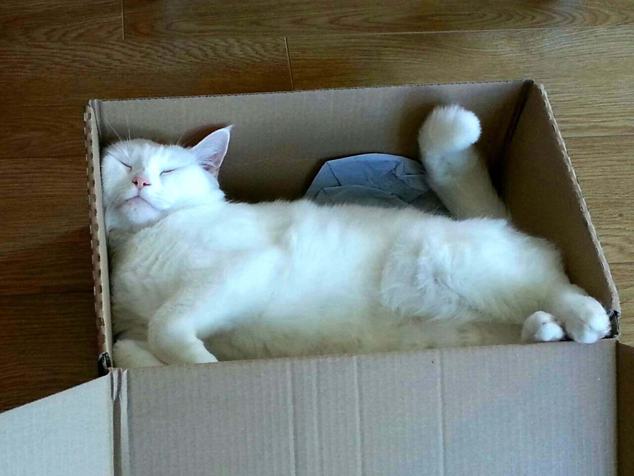 Wie man sich bettet, so liegt man!