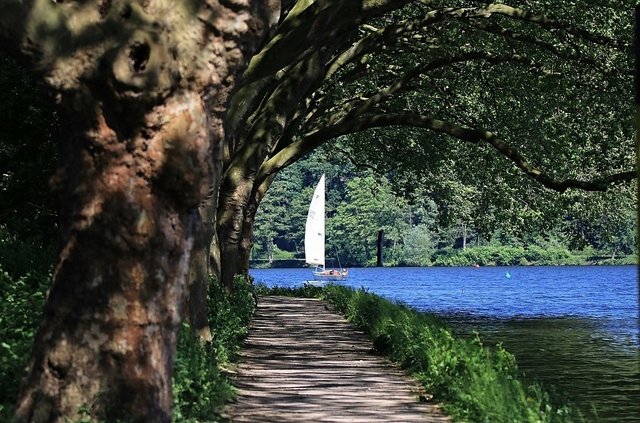 Schatten spendende Bäume sind in den letzten Tagen eine Wohltat.....wie ...