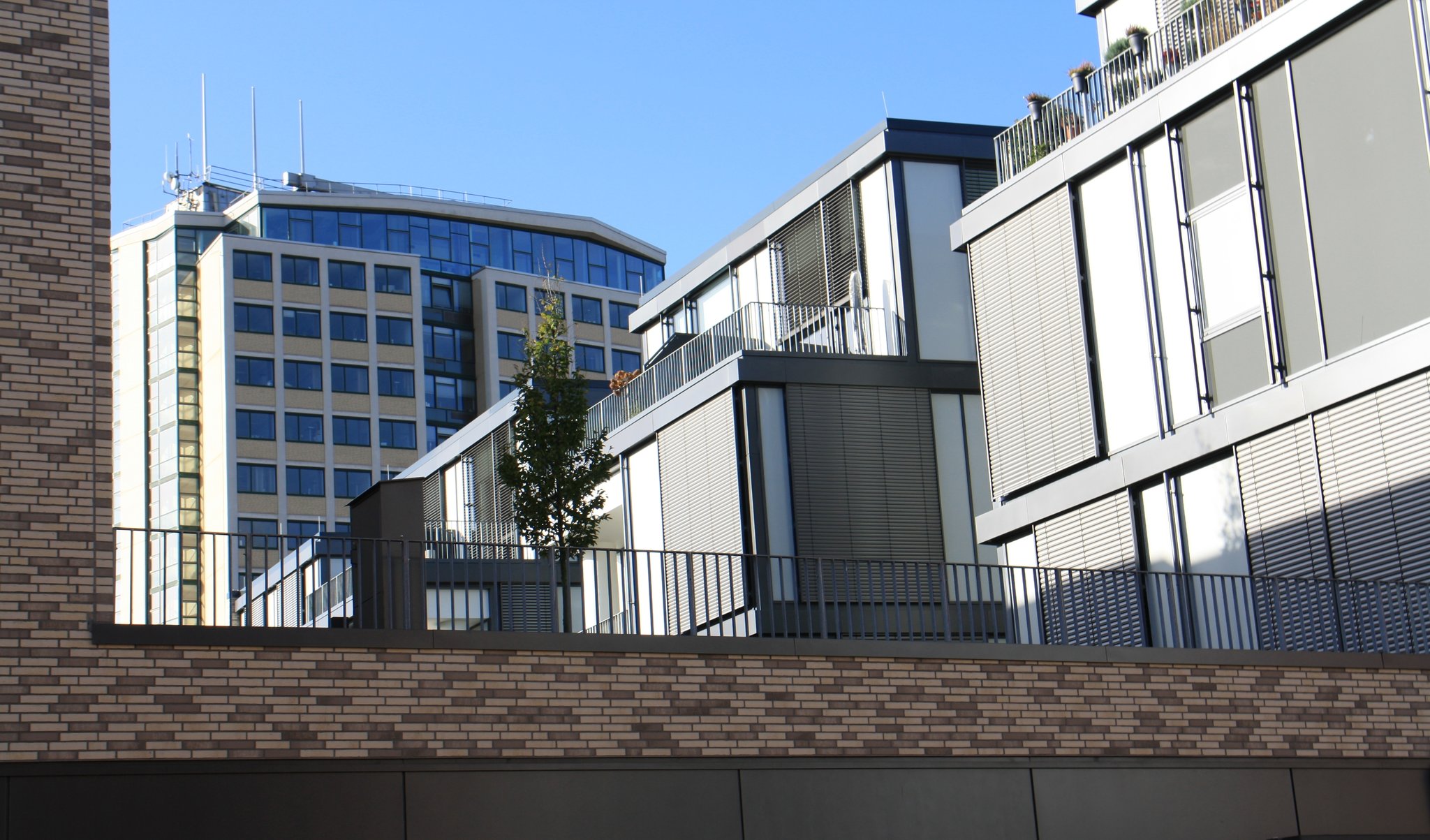 Alt zu Neu oder Neu zu Alt