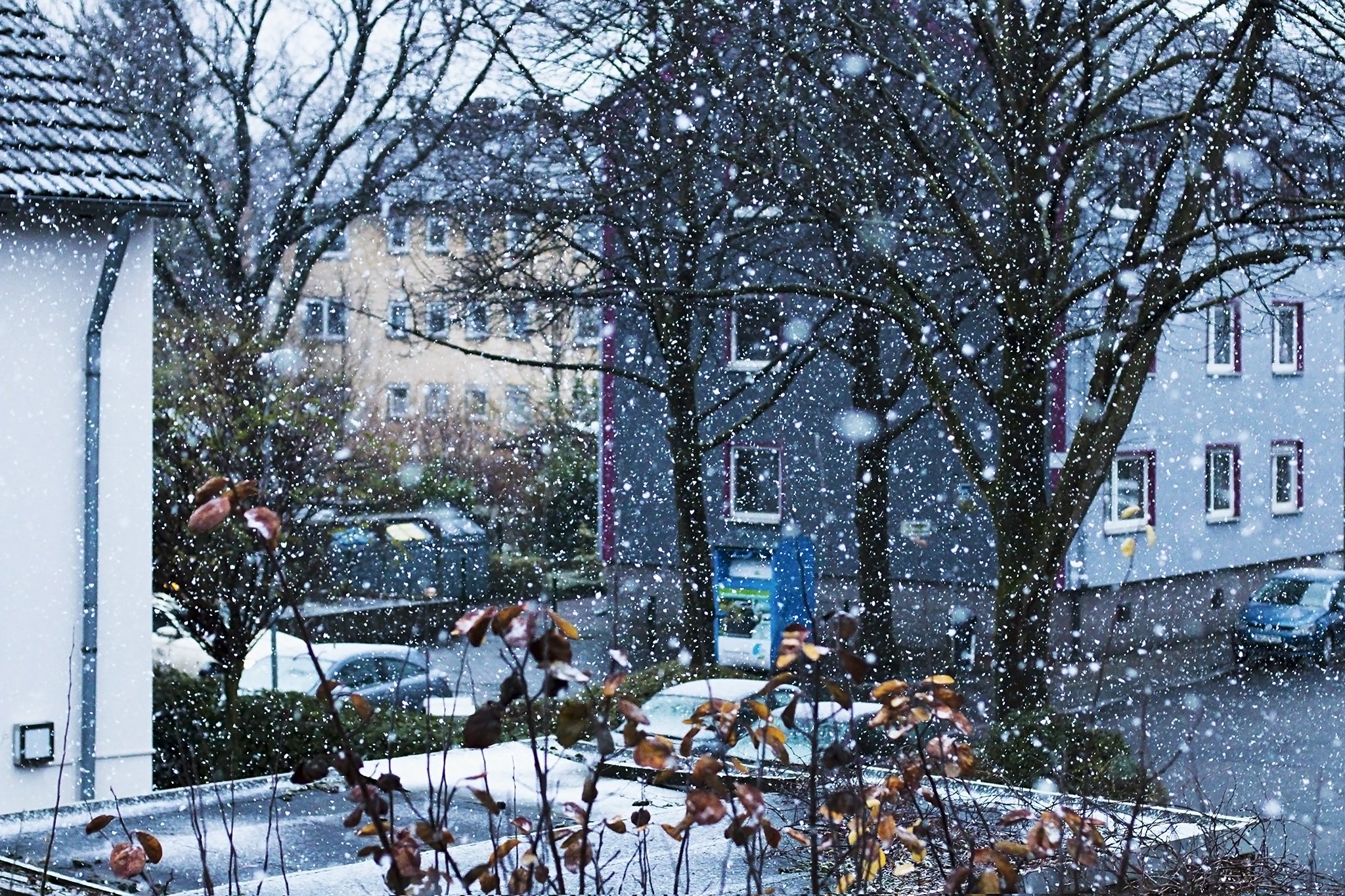 Es schneit! Es schneit!