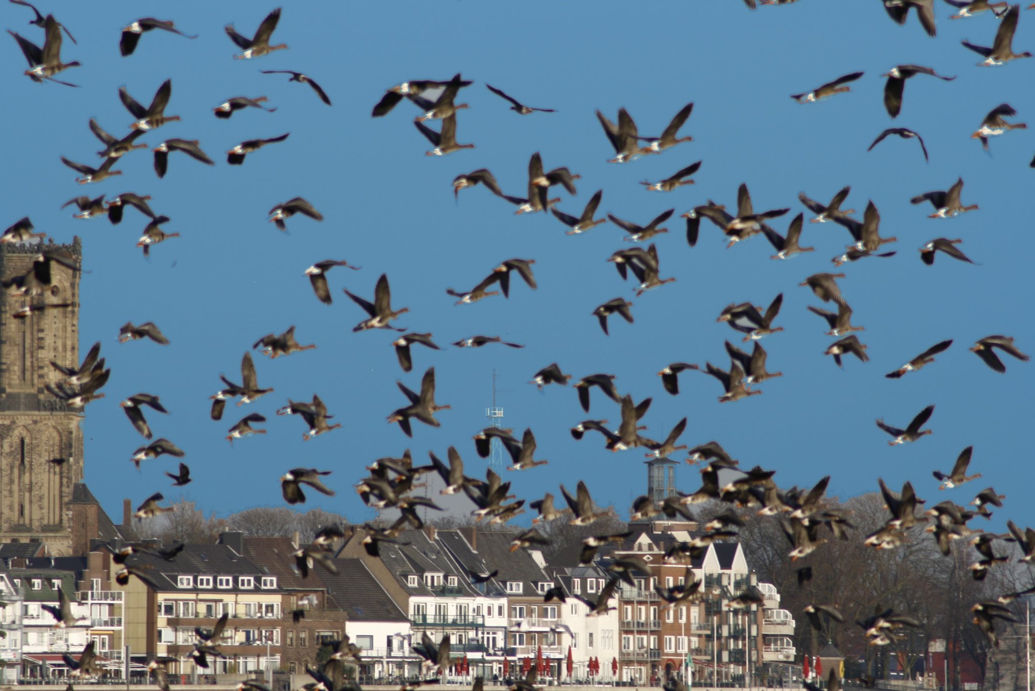 Alfred Hi......... ;-)