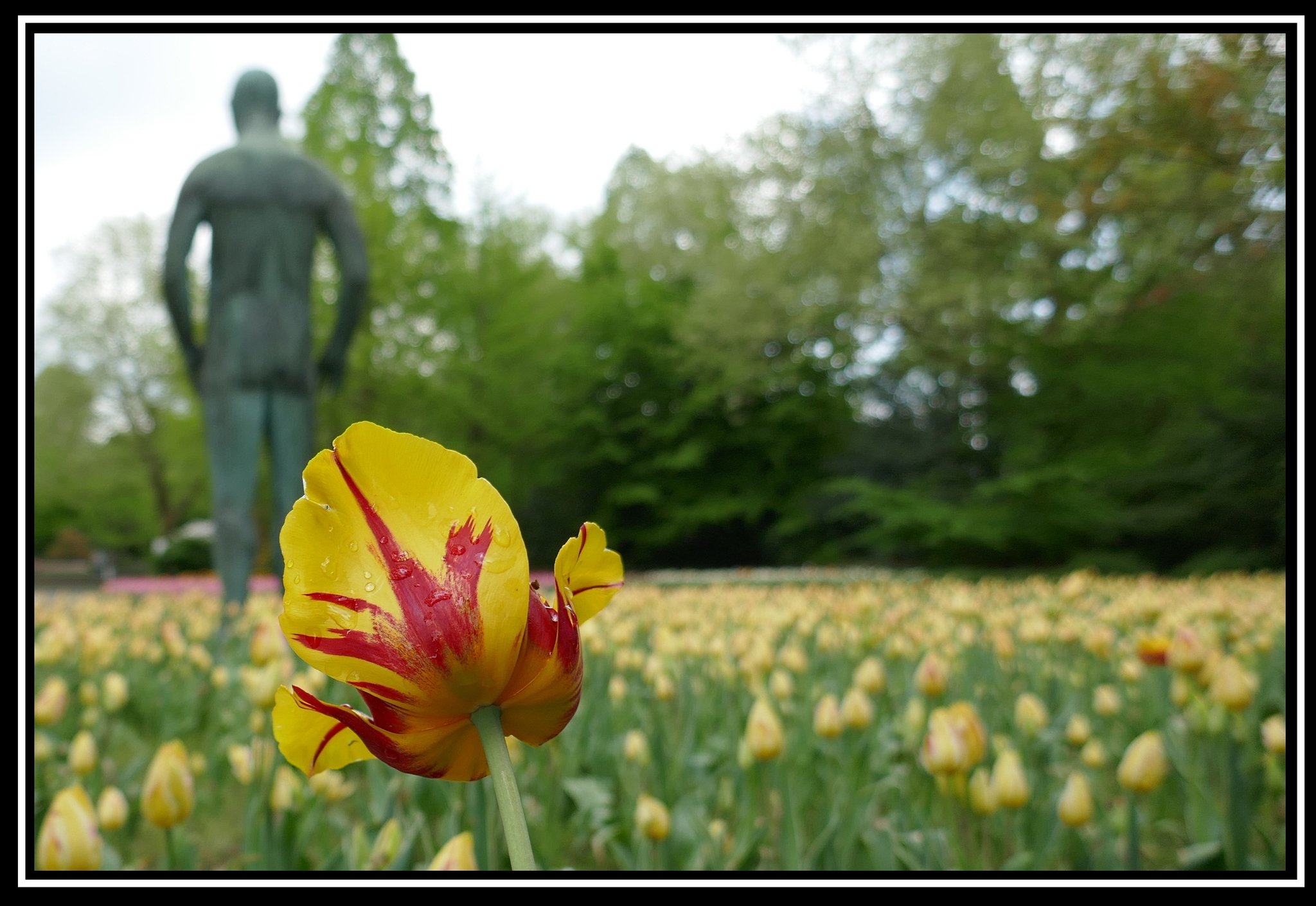 Ein schöner Rücken kann auch entzücken!