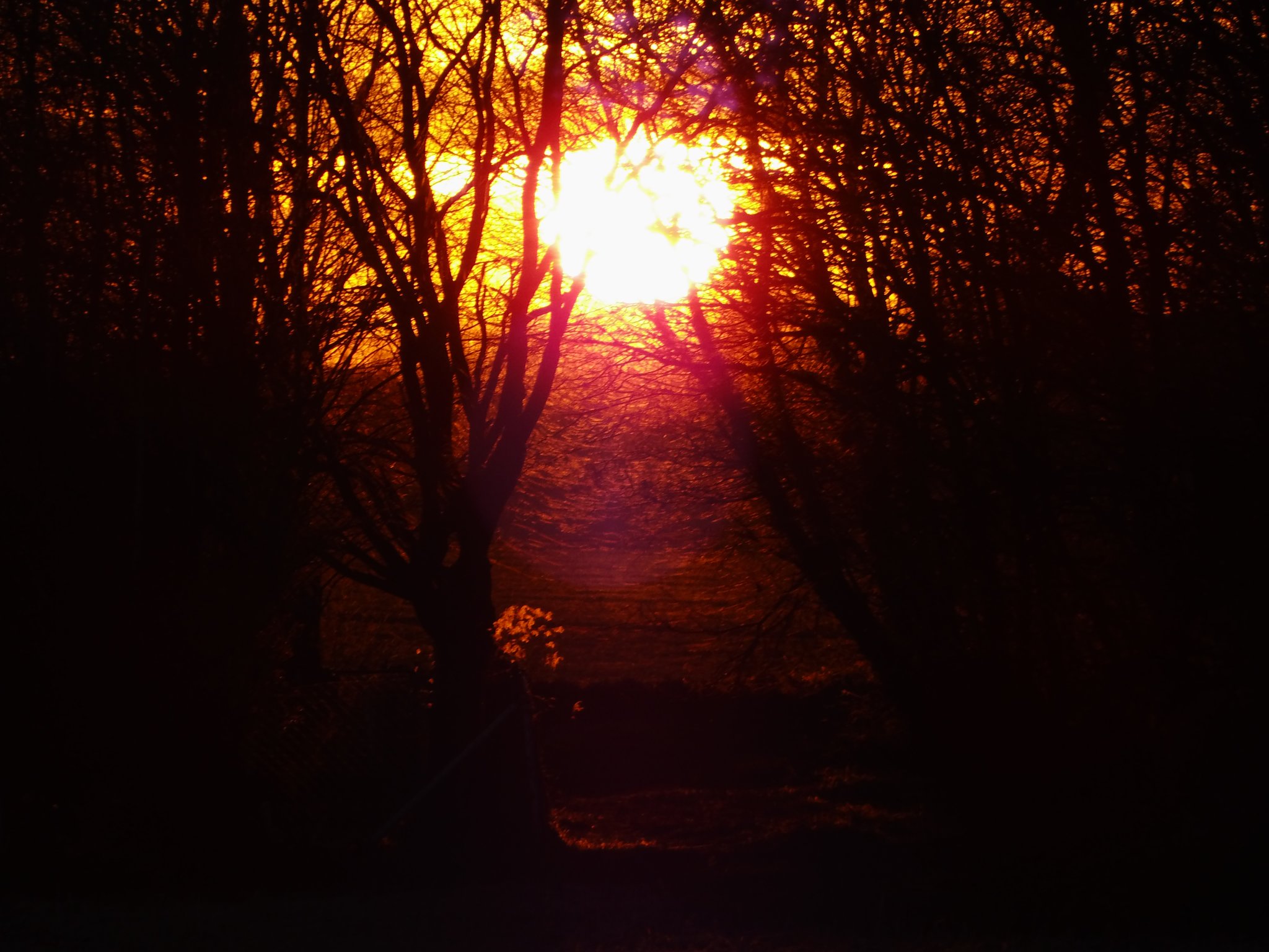 Abendsonne kurz vor´m Untergehen, ......bis morgen früh!