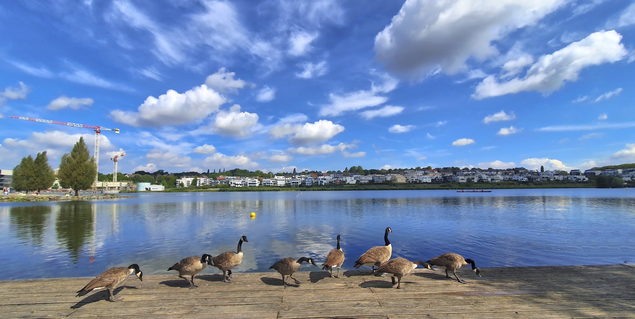 Familienausflug am Phönixsee