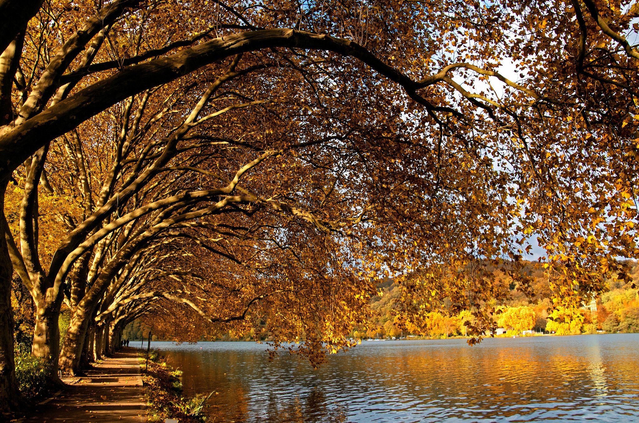 Haus Scheppen am Baldeneysee