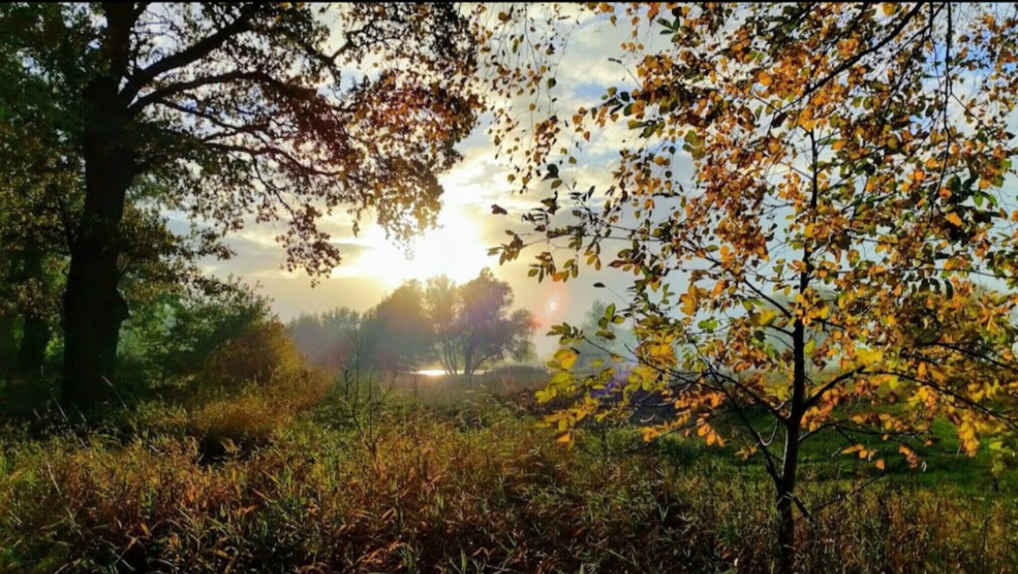 WILLKOMMEN IM MONAT NOVEMBER ...