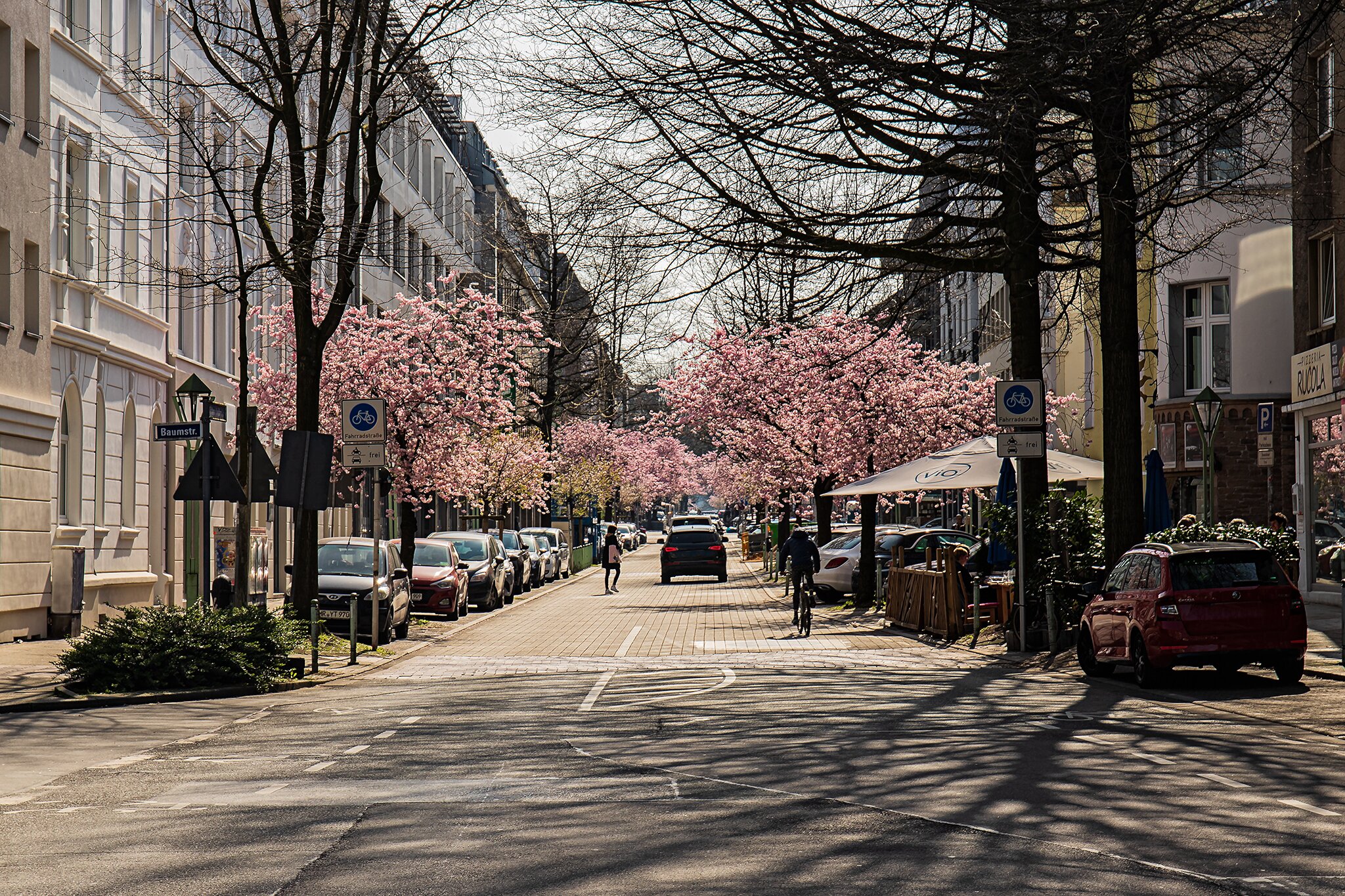 Die zauberhafte Kirschblühte auf der Rü. ( Rüttenscheider Straße in Essen )
