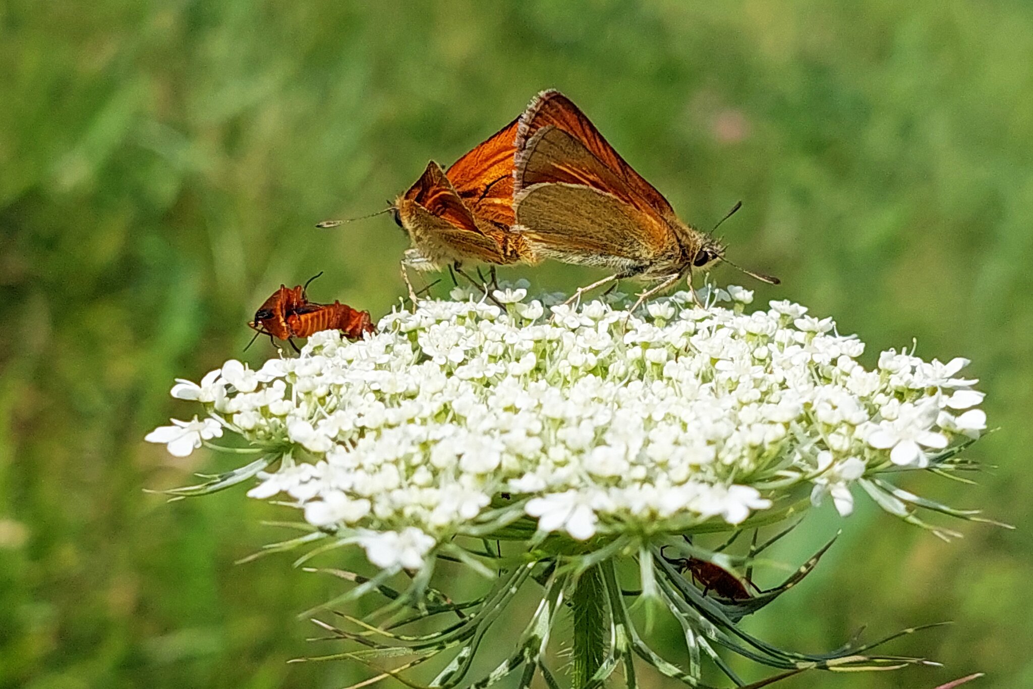 Ist das noch jugendfrei