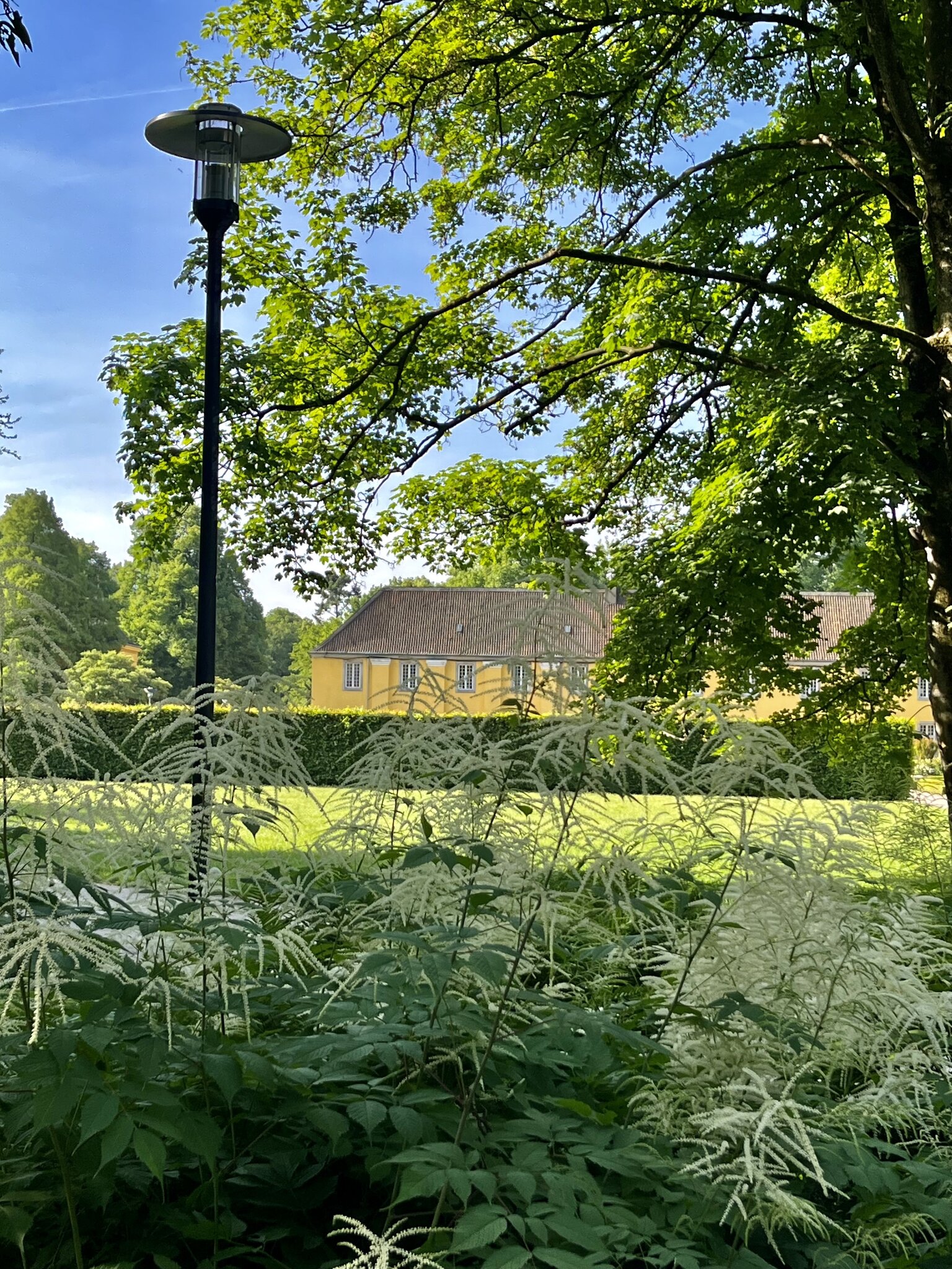 Orangerie Benrath - Im Licht der Morgen