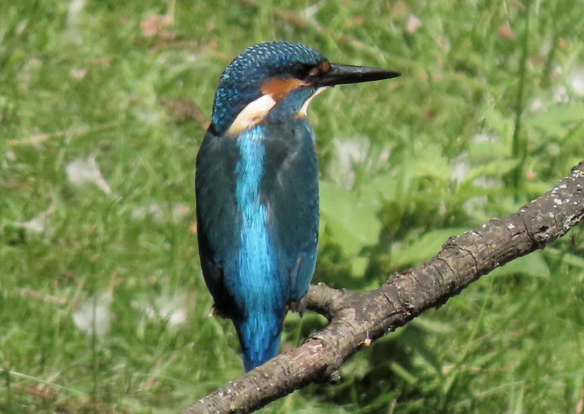 Ein schöner Rücken kann auch entzücken