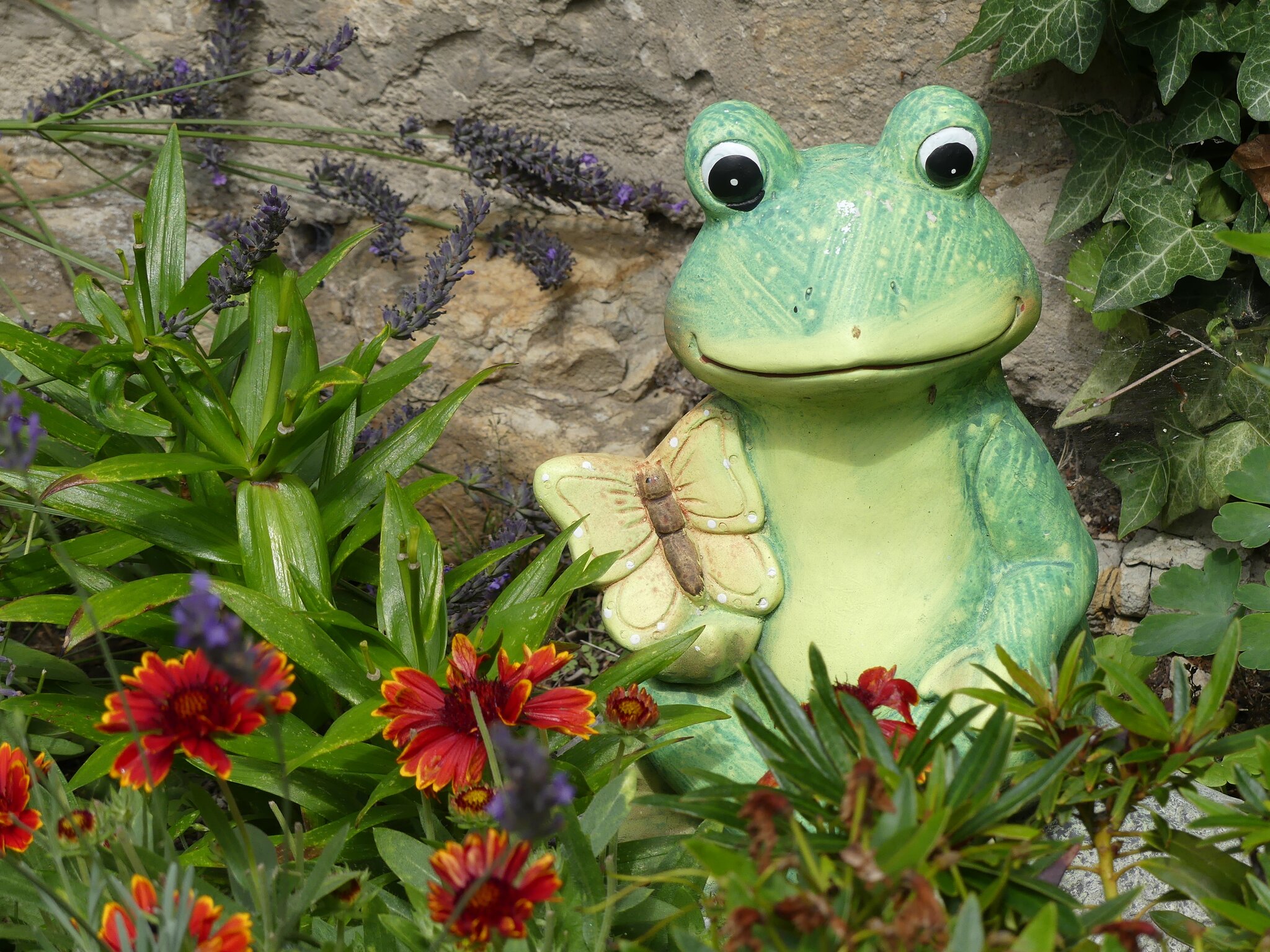 Frosch mit Mauerblümchen