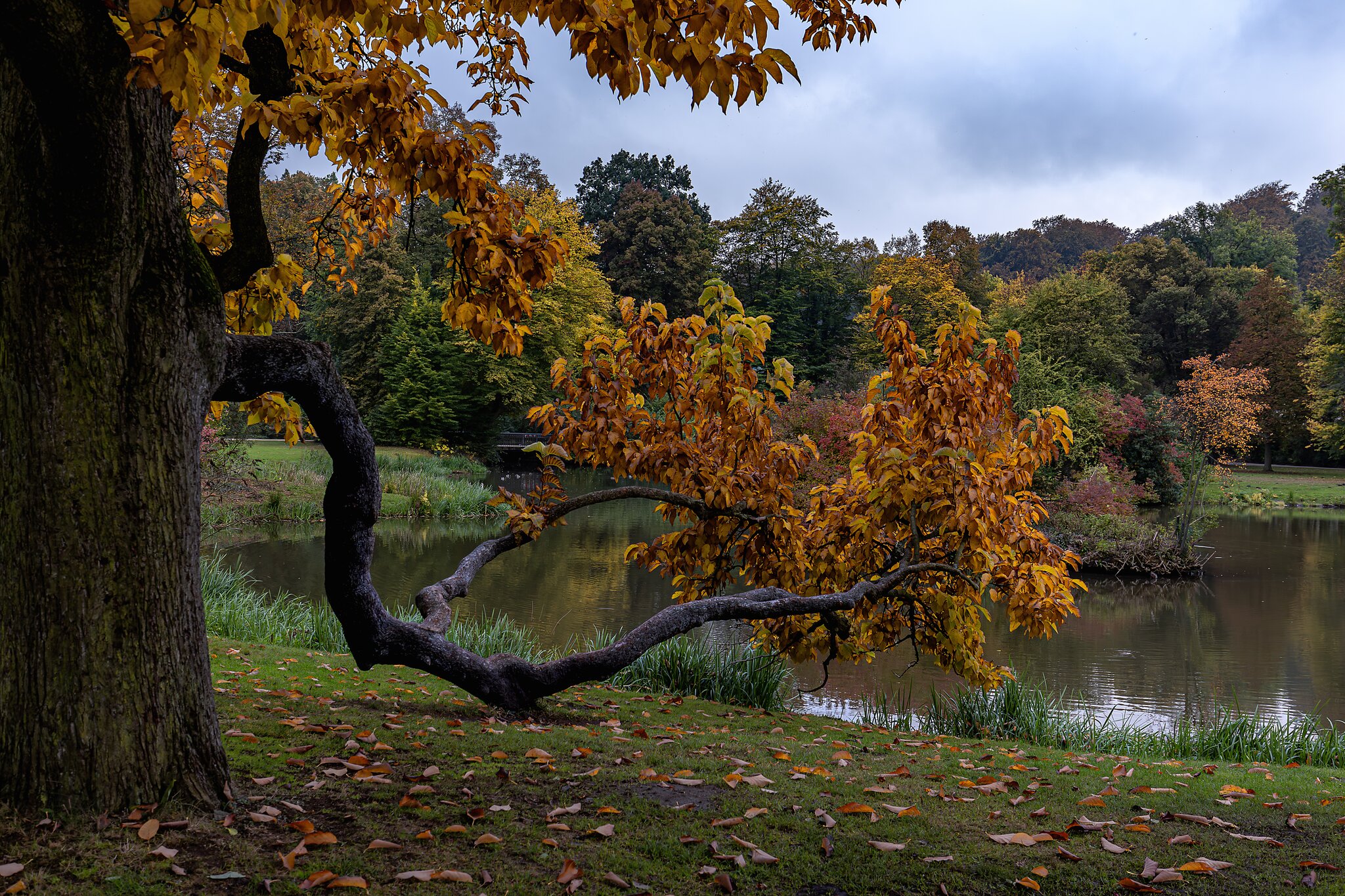 „Von den Jahreszeiten treibt es der Herbst am buntesten.“ (Willy Meurer)