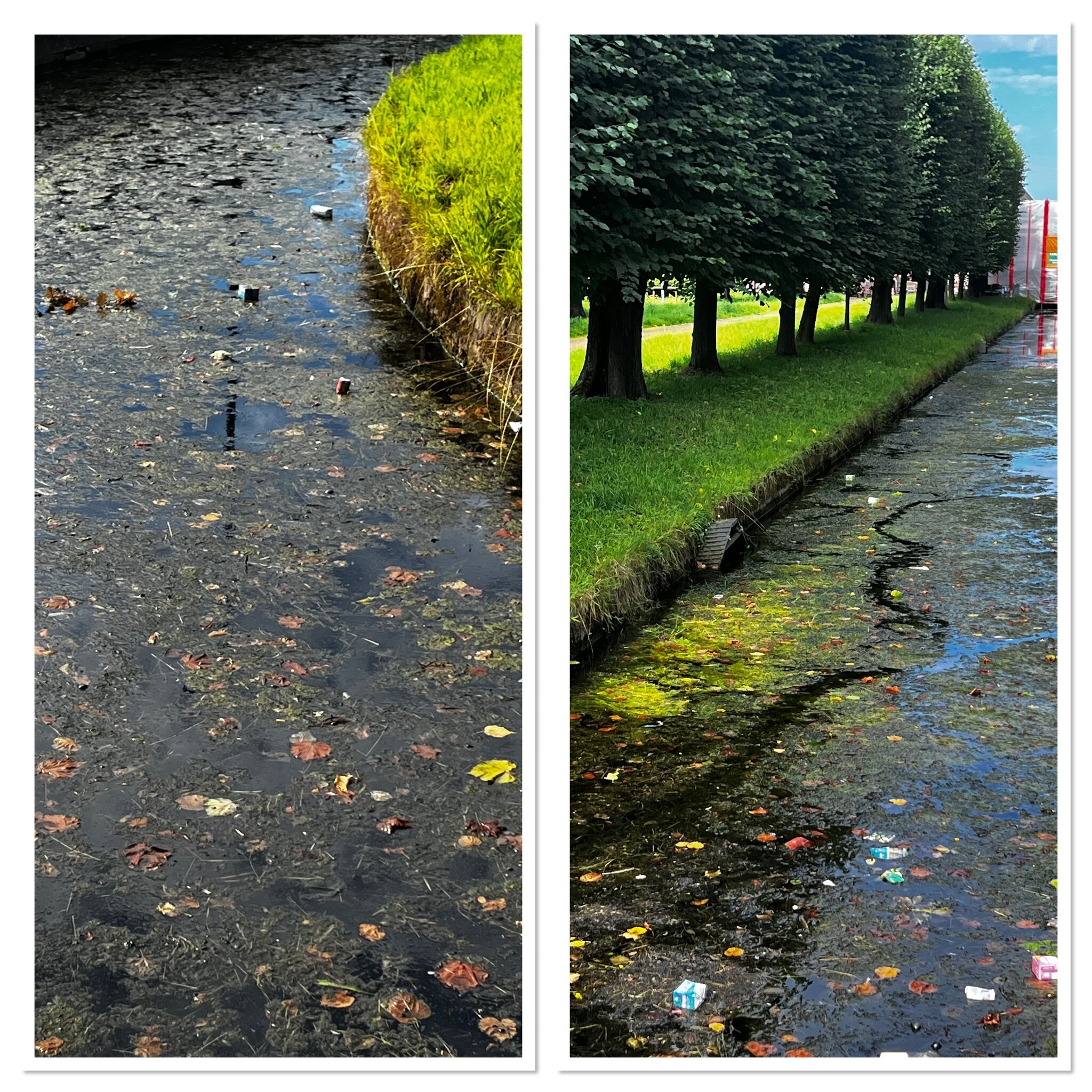 Hier entlang geht es zum Schloss Benrath - Das stinkt mir!